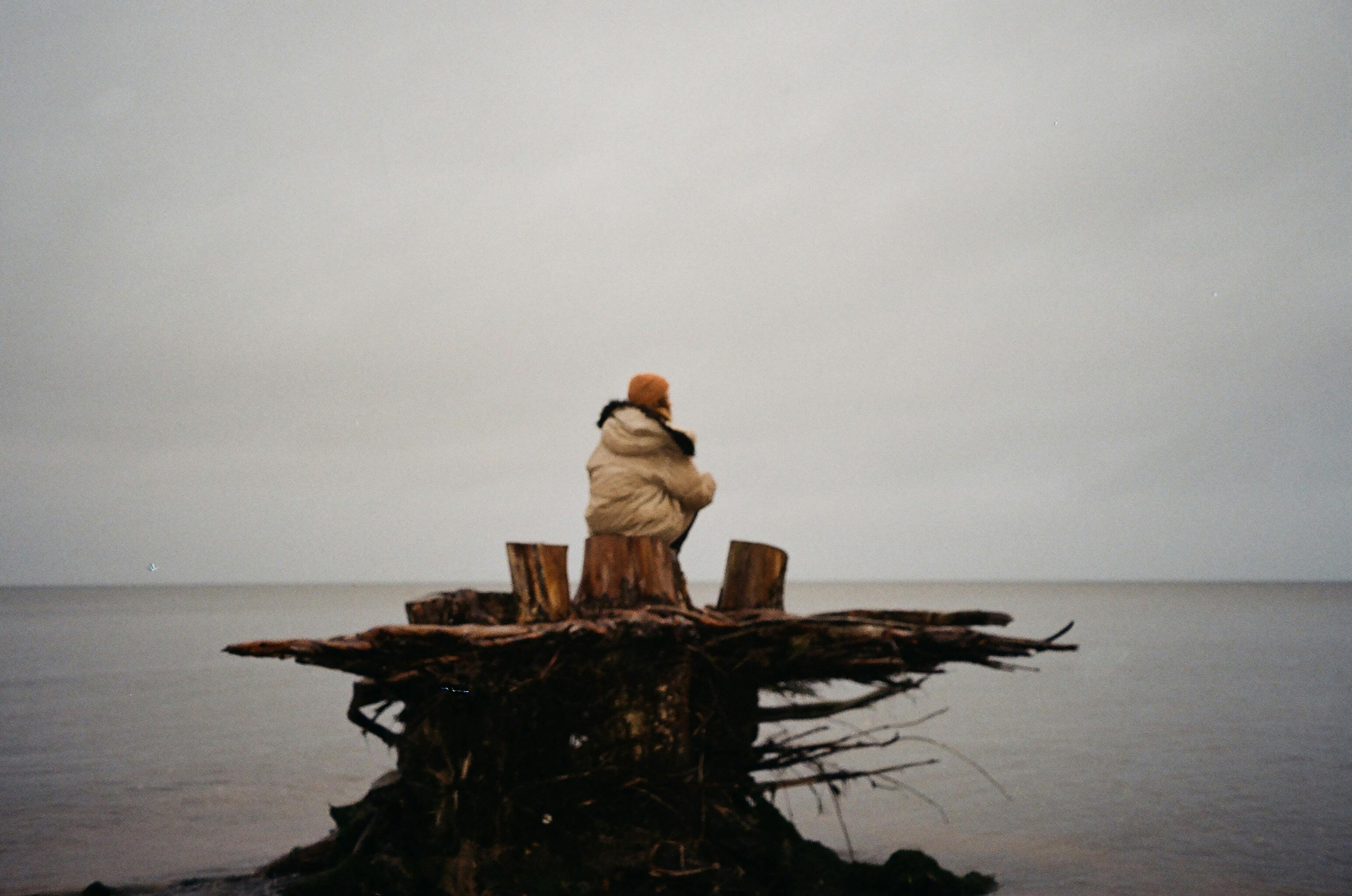 Photo of Person Sitting on Tree Stump Near Body of Water · Free Stock Photo