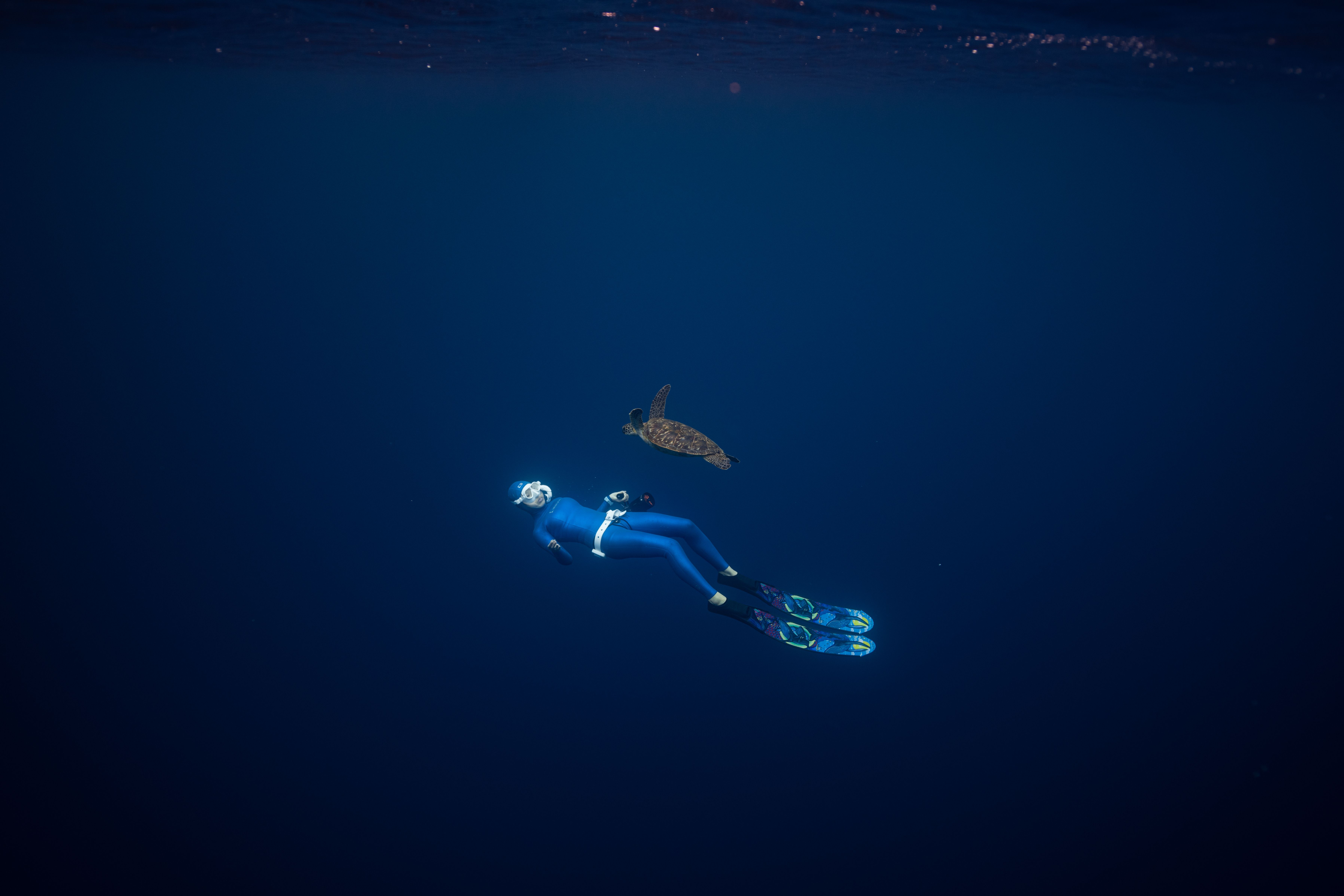 A Couple Kissing Underwater · Free Stock Photo