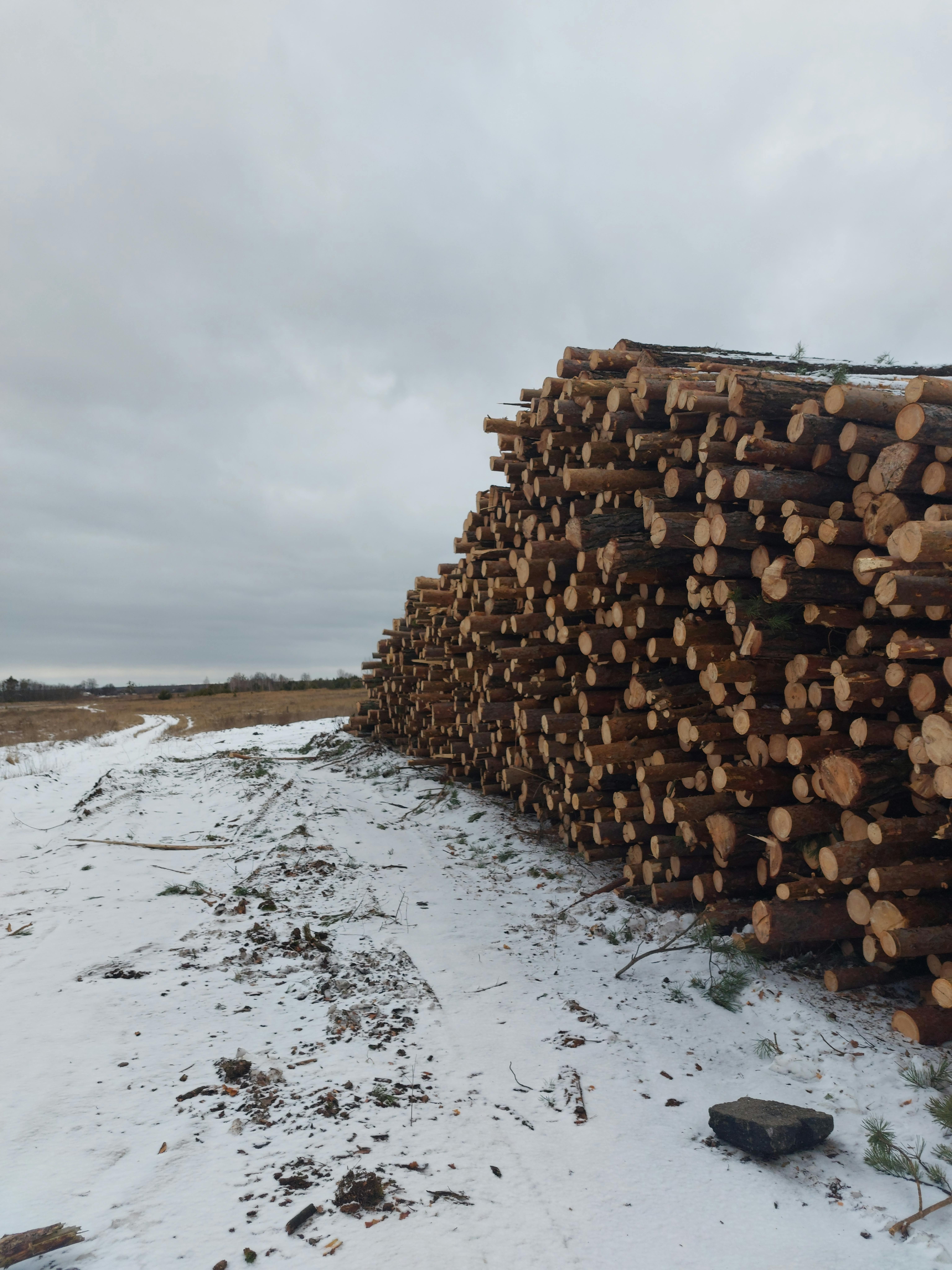 Pile of Brown Wooden Logs on Snow Covered Ground · Free Stock Photo