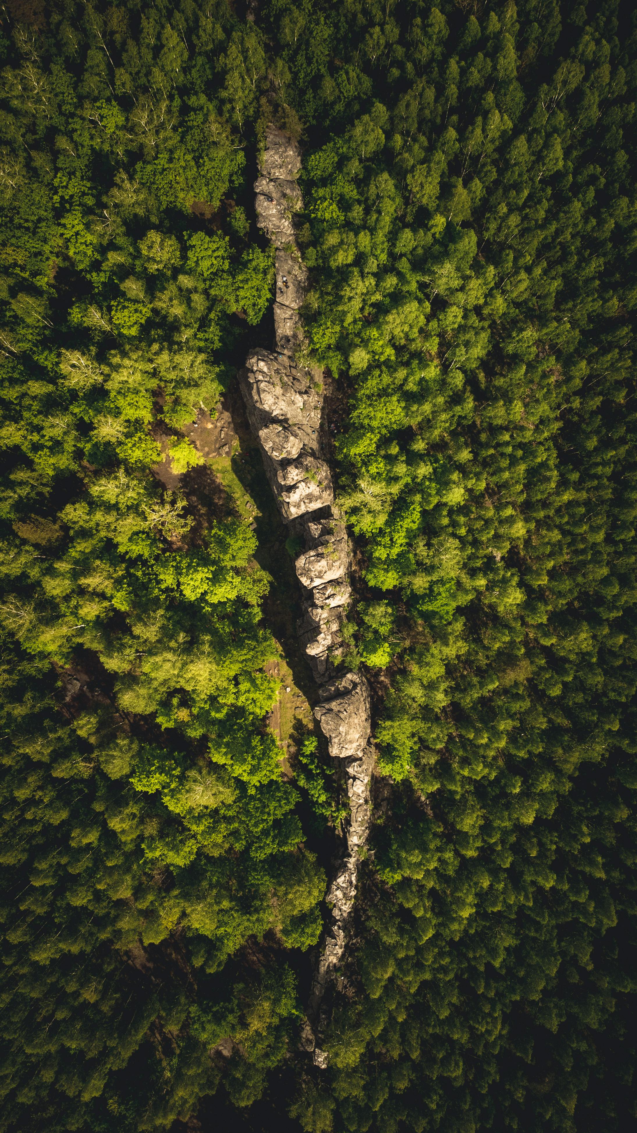 Top View of Rock Formation on the Forest · Free Stock Photo