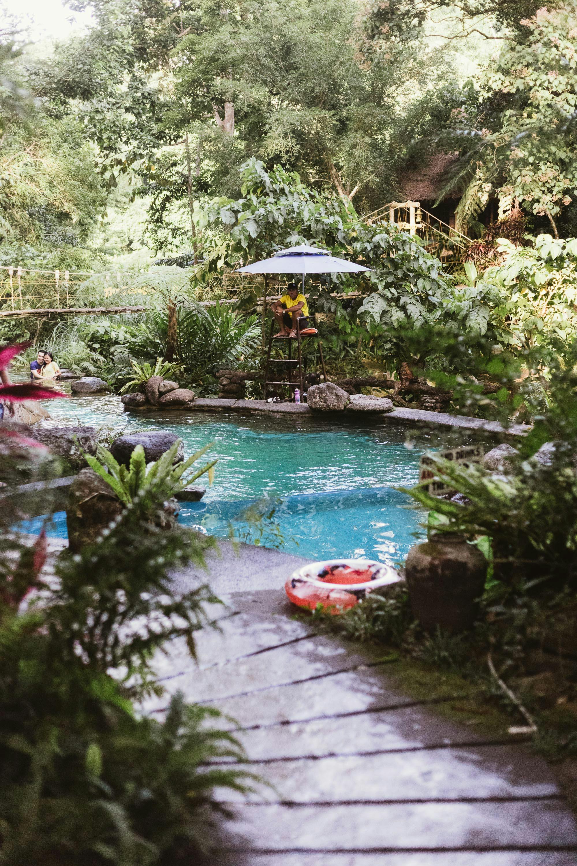 Pool among Luxuriant Vegetation · Free Stock Photo