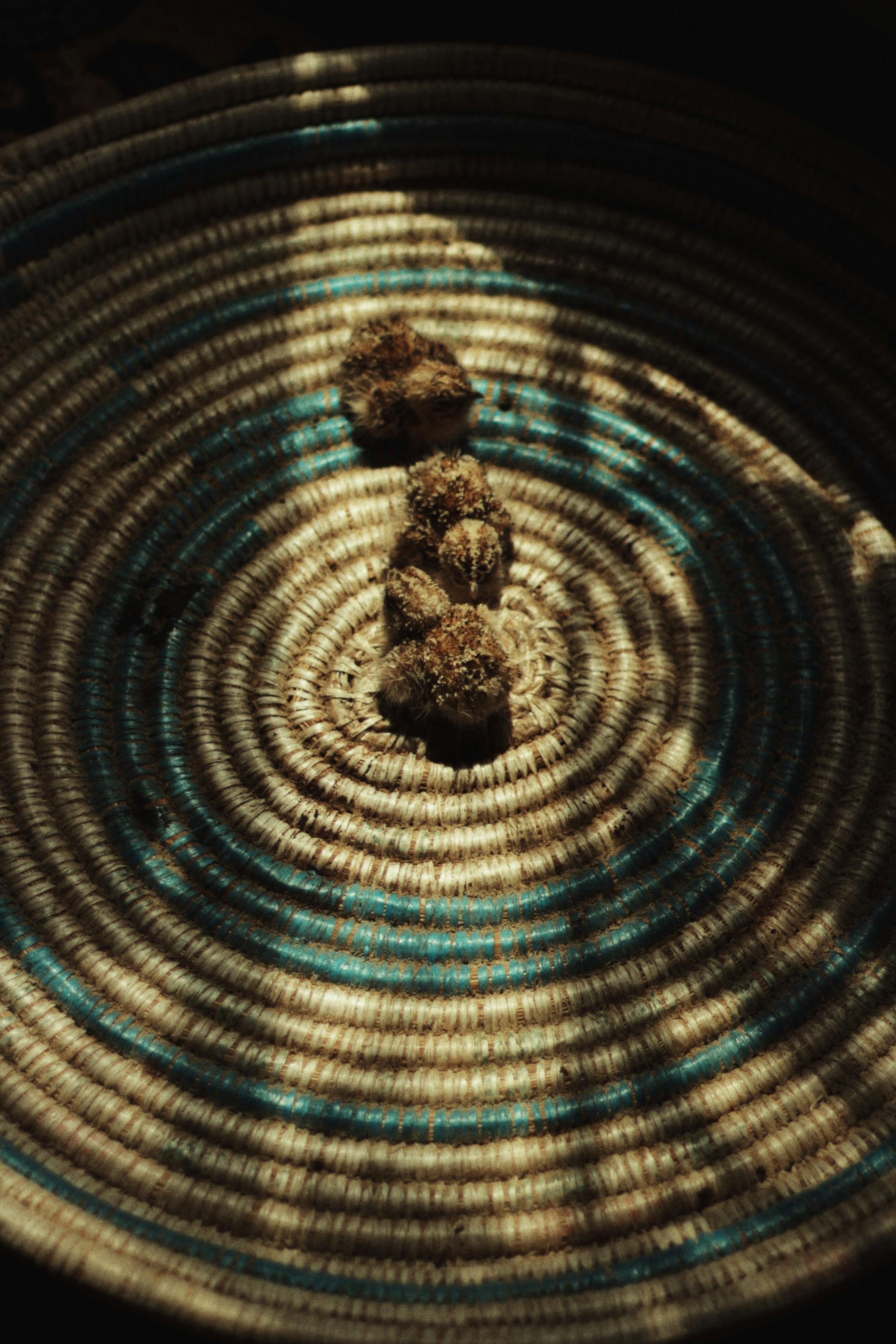 Porto Rustic Photos, Download Free Porto Rustic Stock Photos & HD Images