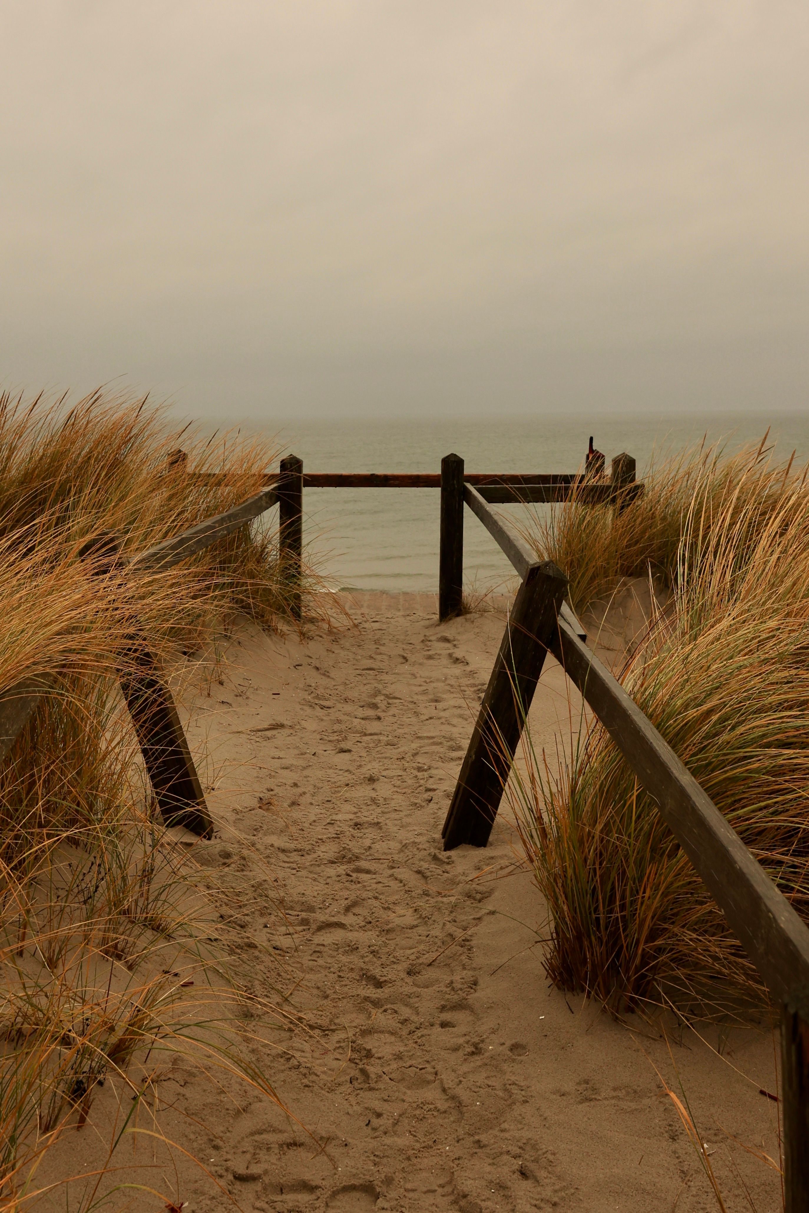 A Grassy Field near the Beach · Free Stock Photo