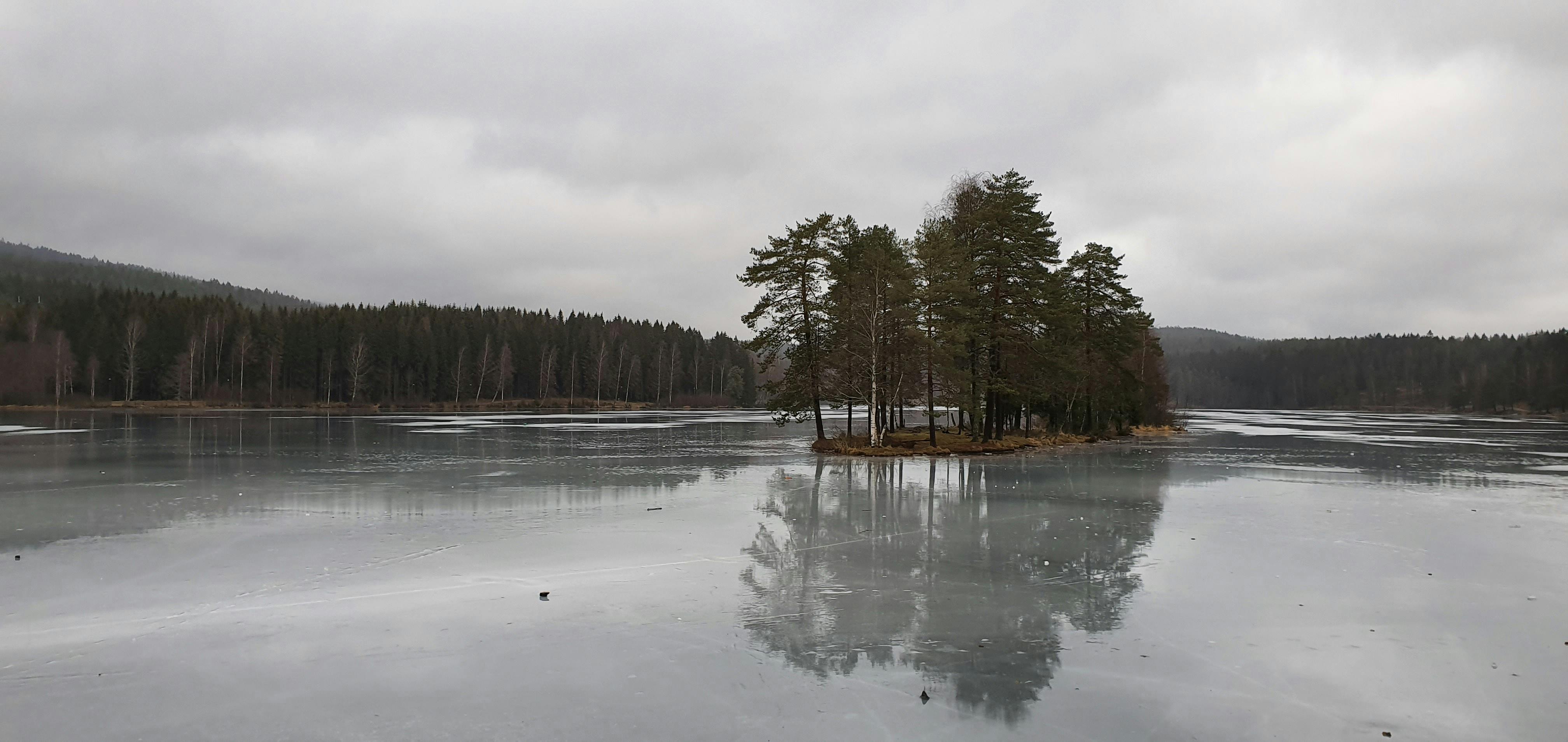 Dániel Nemes - Photographie