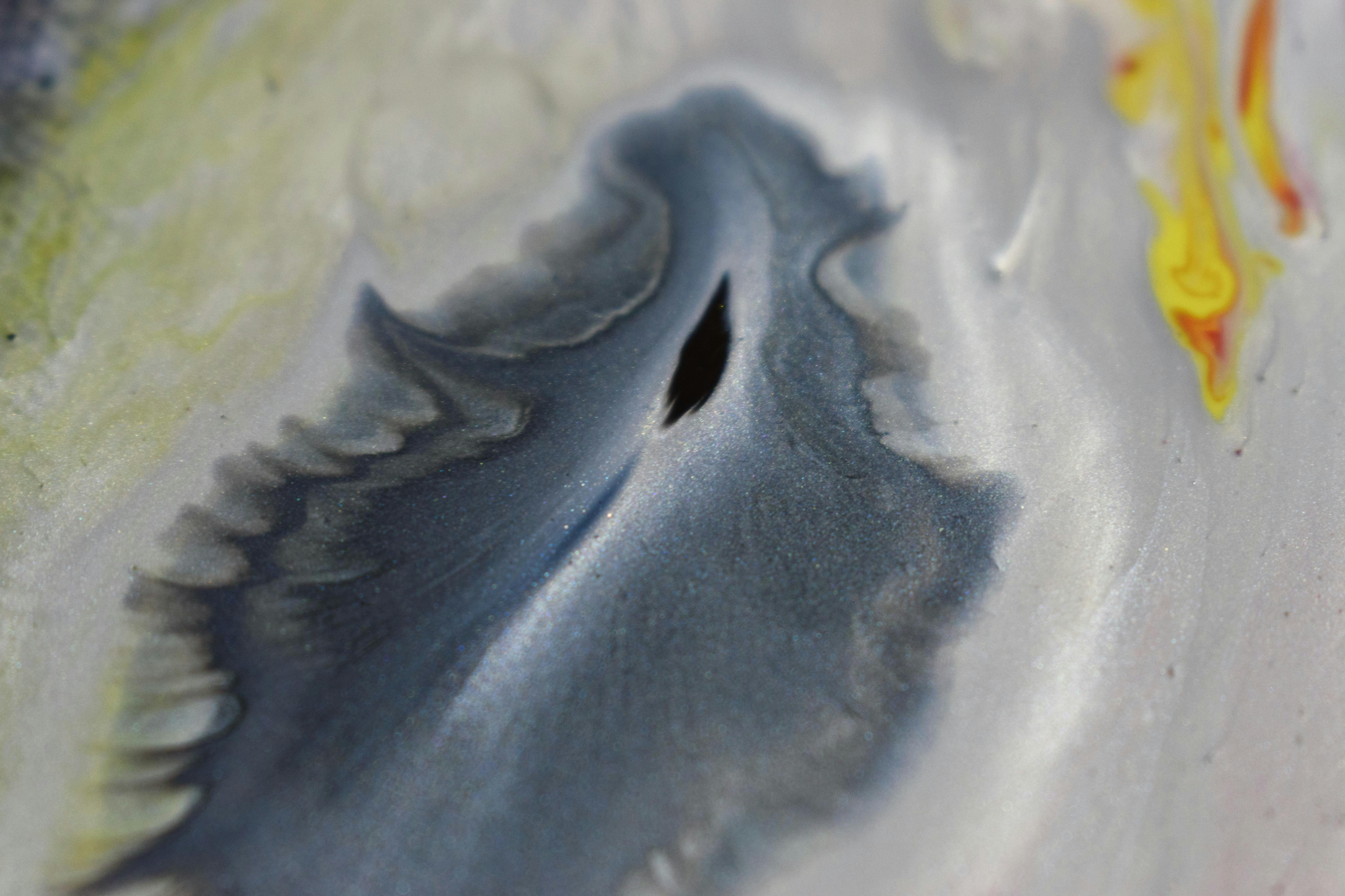 Gray Acrylic Paint Mixed on the Water · Free Stock Photo