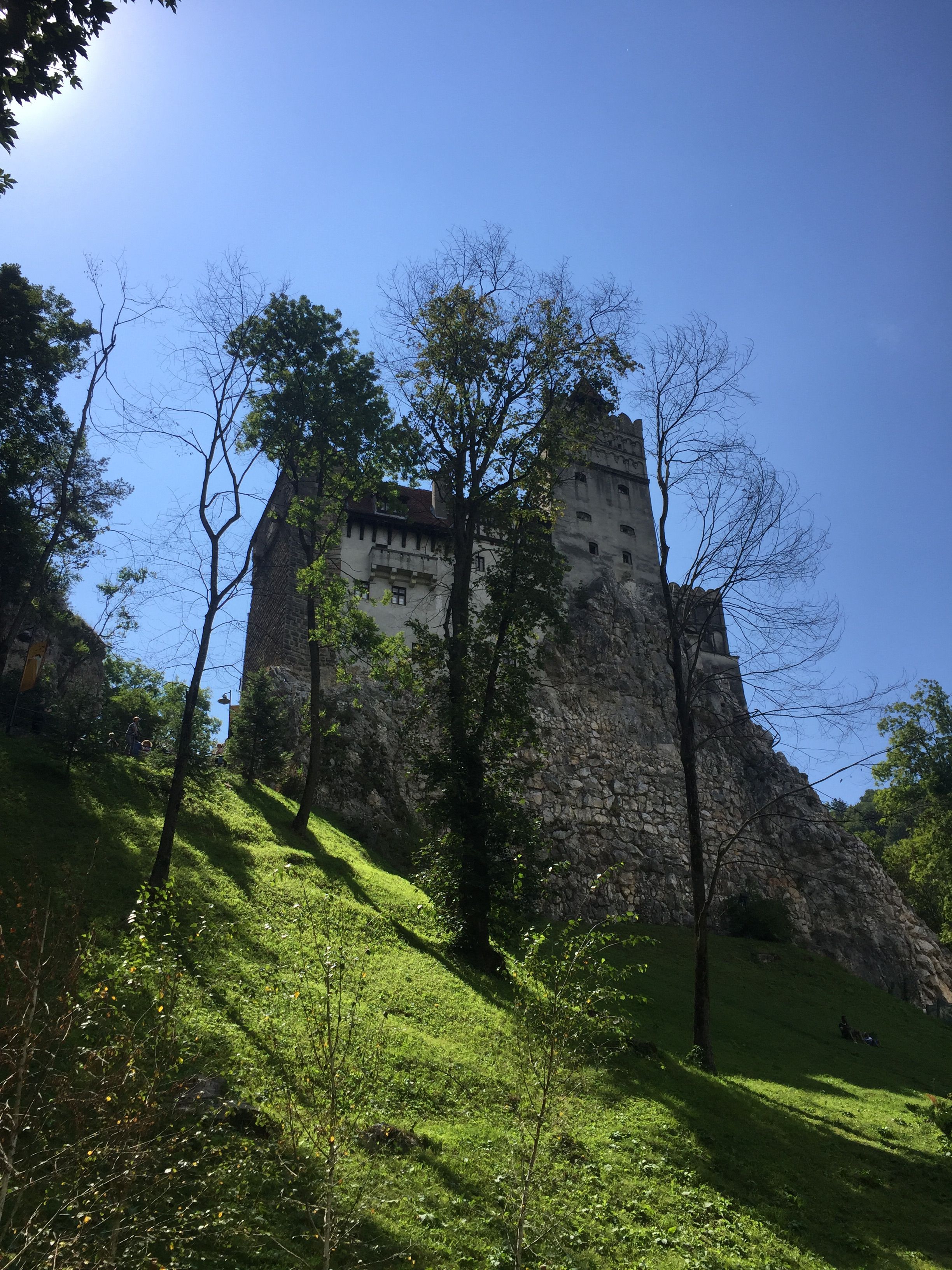 Low Angle Shot of Trees near the Castle · Free Stock Photo