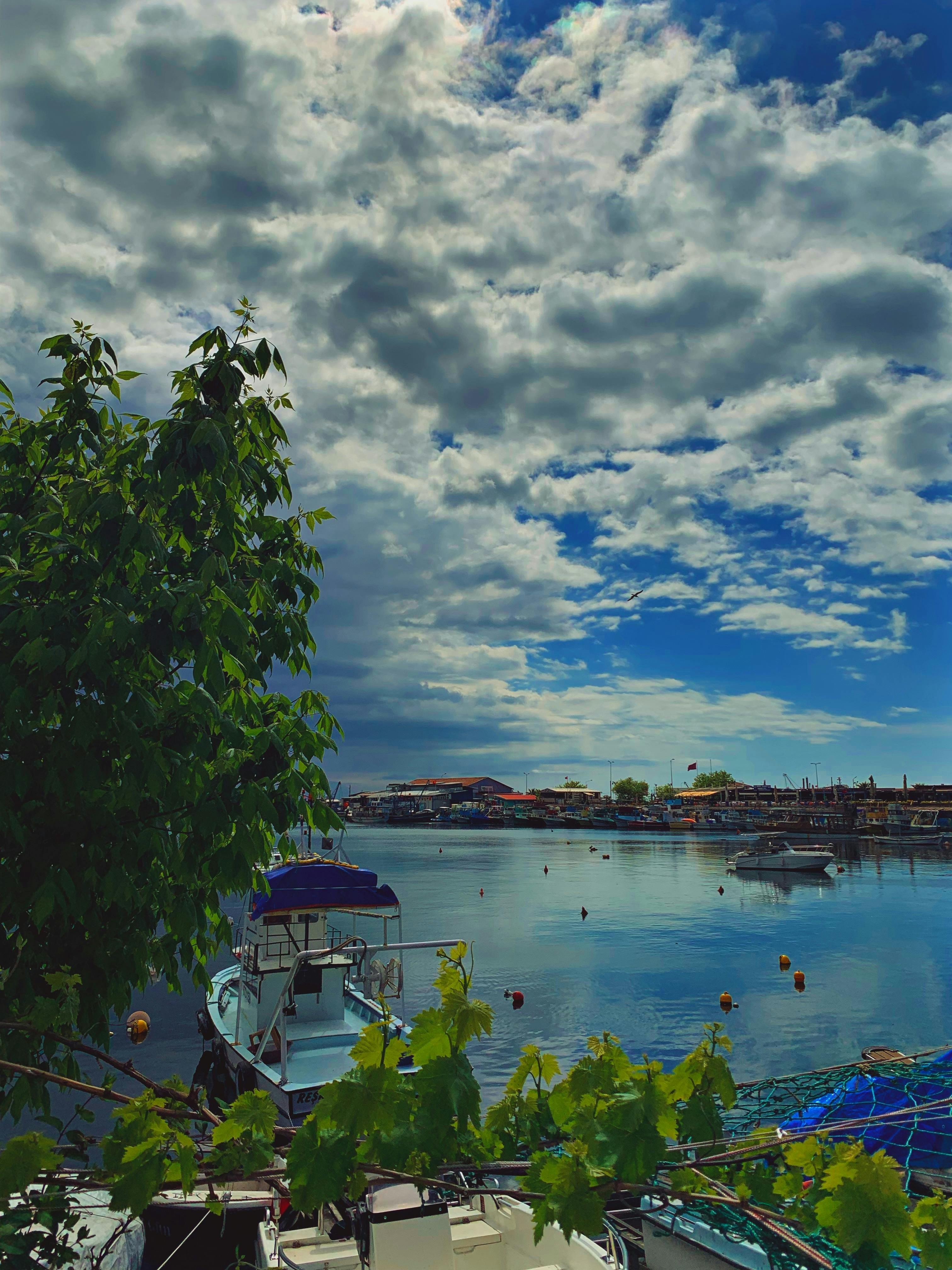 Mavera - Photography