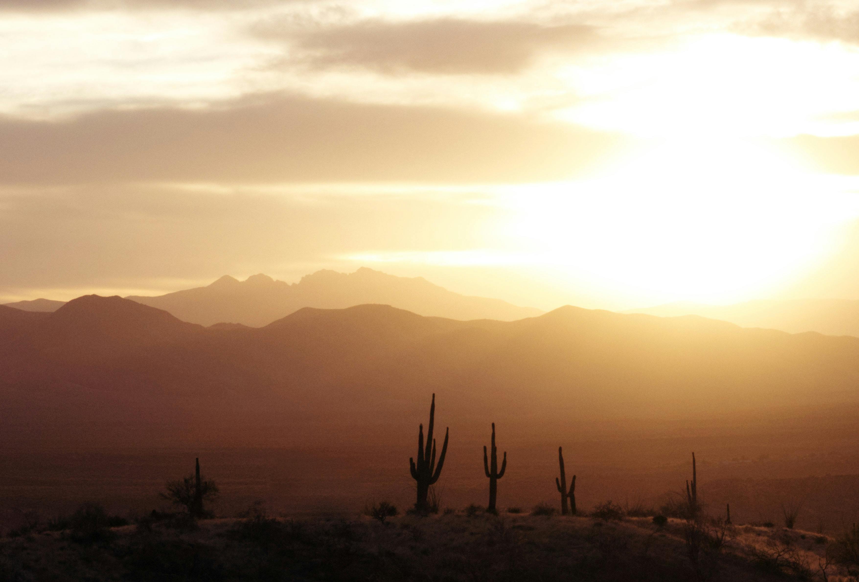 Sunflare In Vast Photos, Download The BEST Free Sunflare In Vast Stock Photos & HD Images