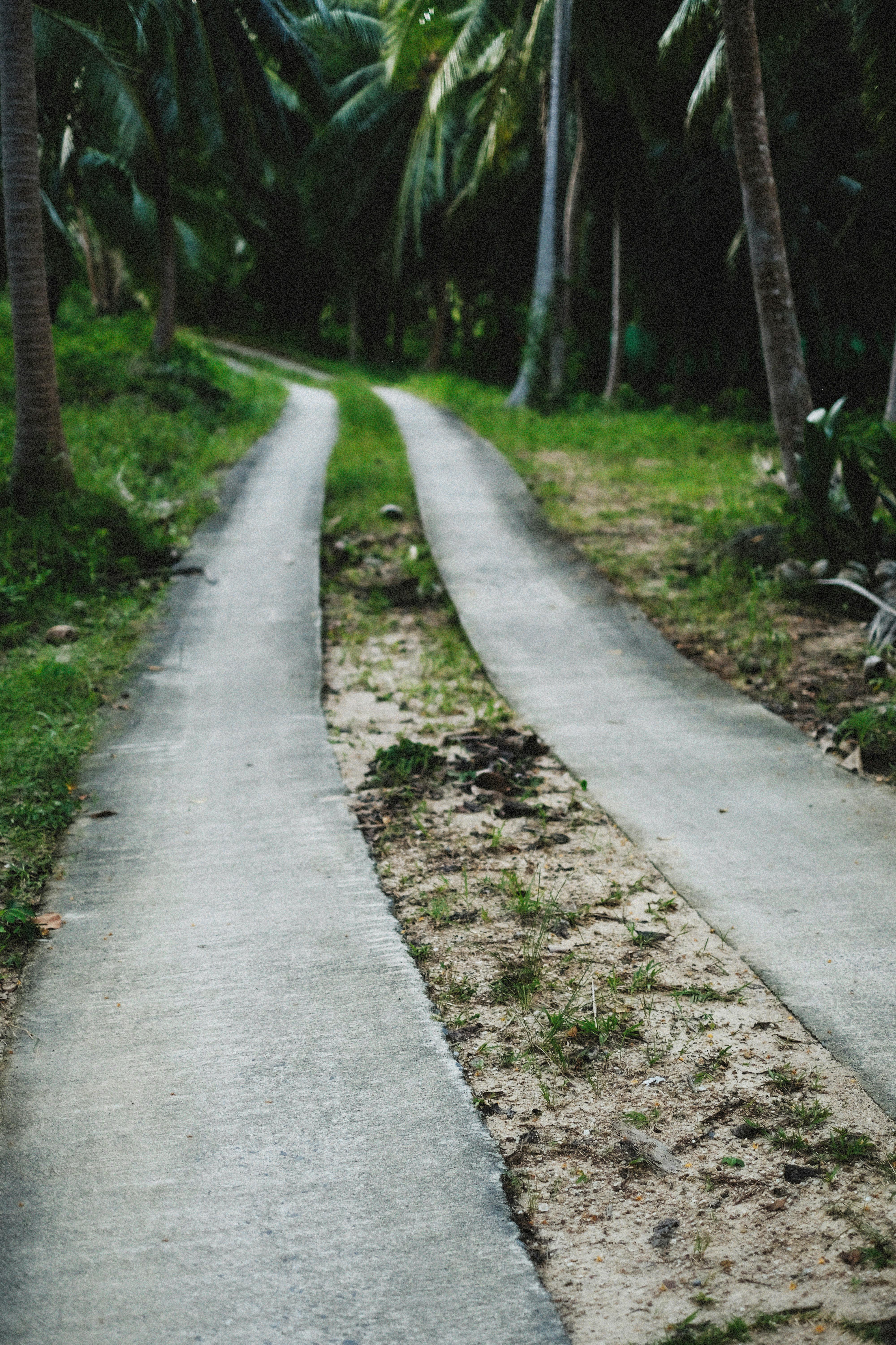 Photograph of a Paved Road · Free Stock Photo