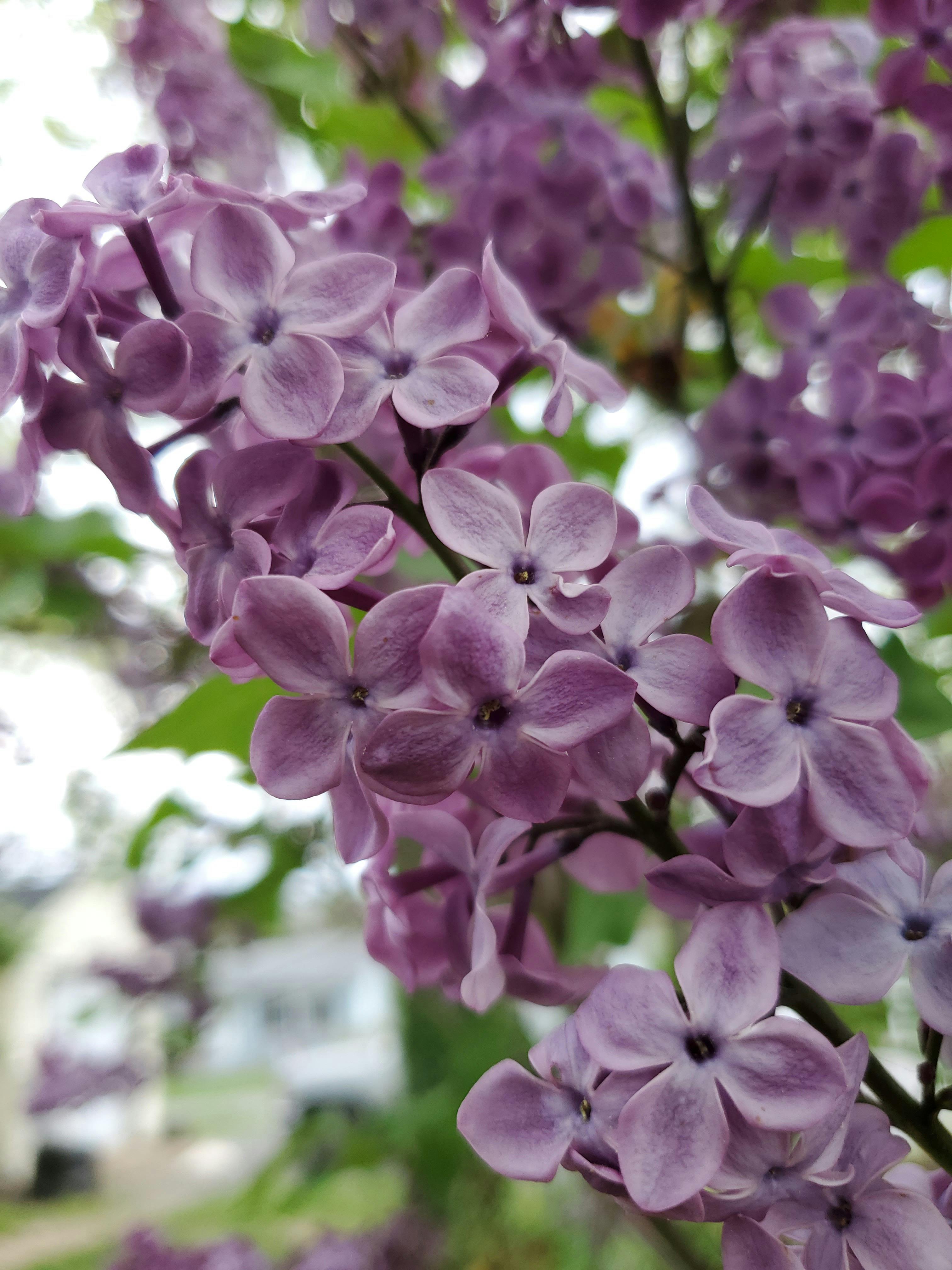 Shannon Gilbert – Fotografia