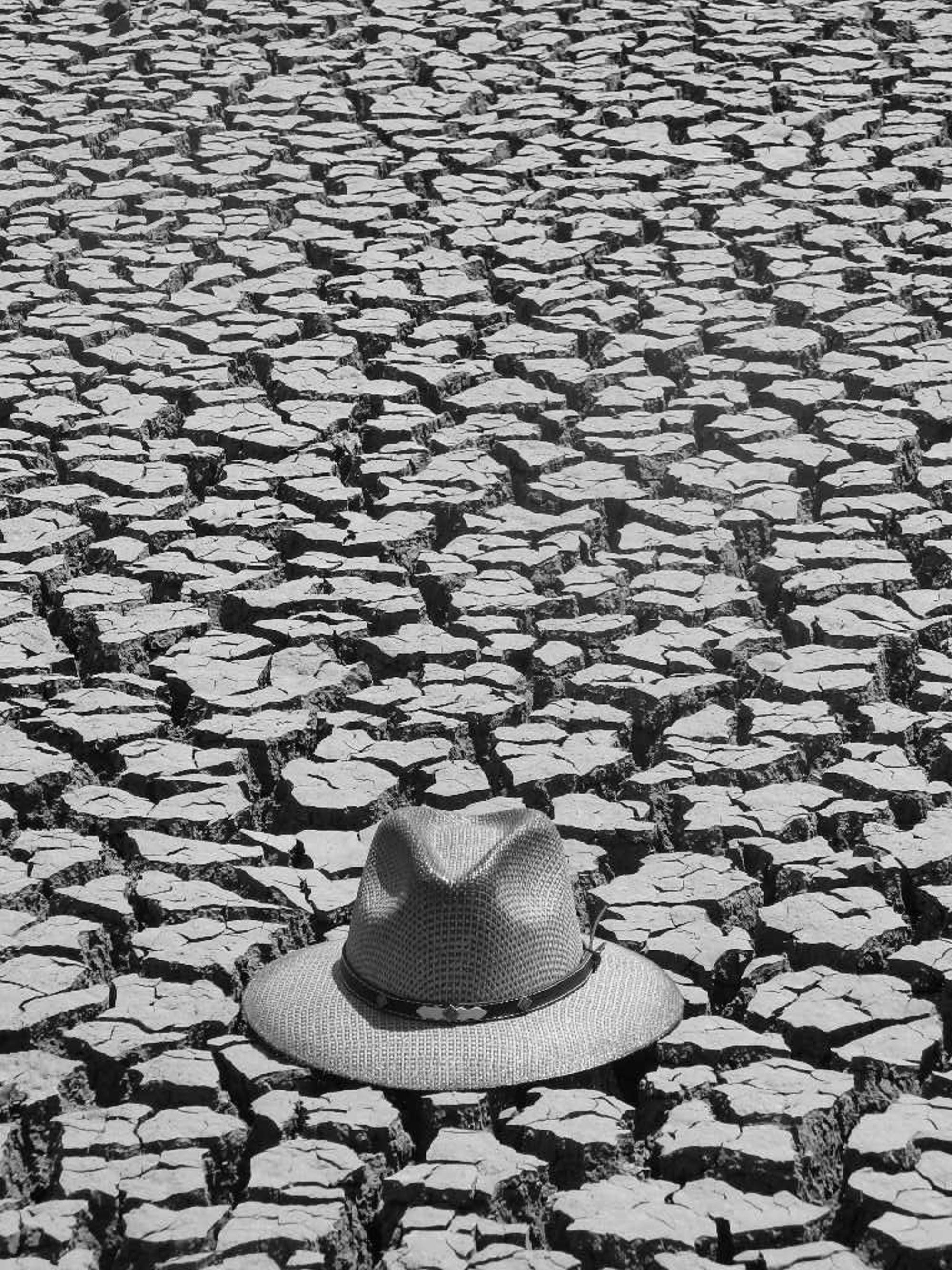 Dorian Grey Photos, Download Free Dorian Grey Stock Photos & HD Images