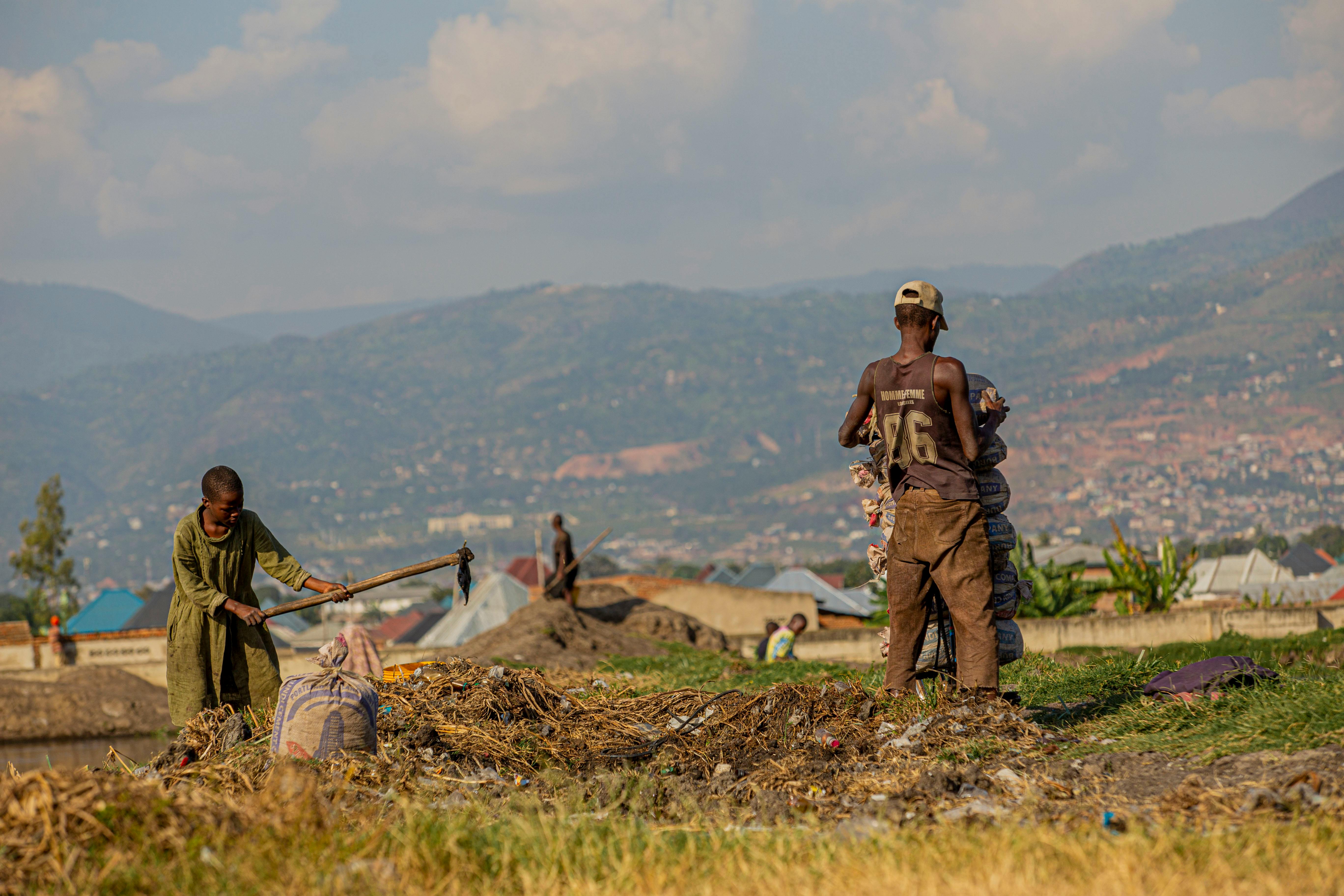 People Working in a Field · Free Stock Photo