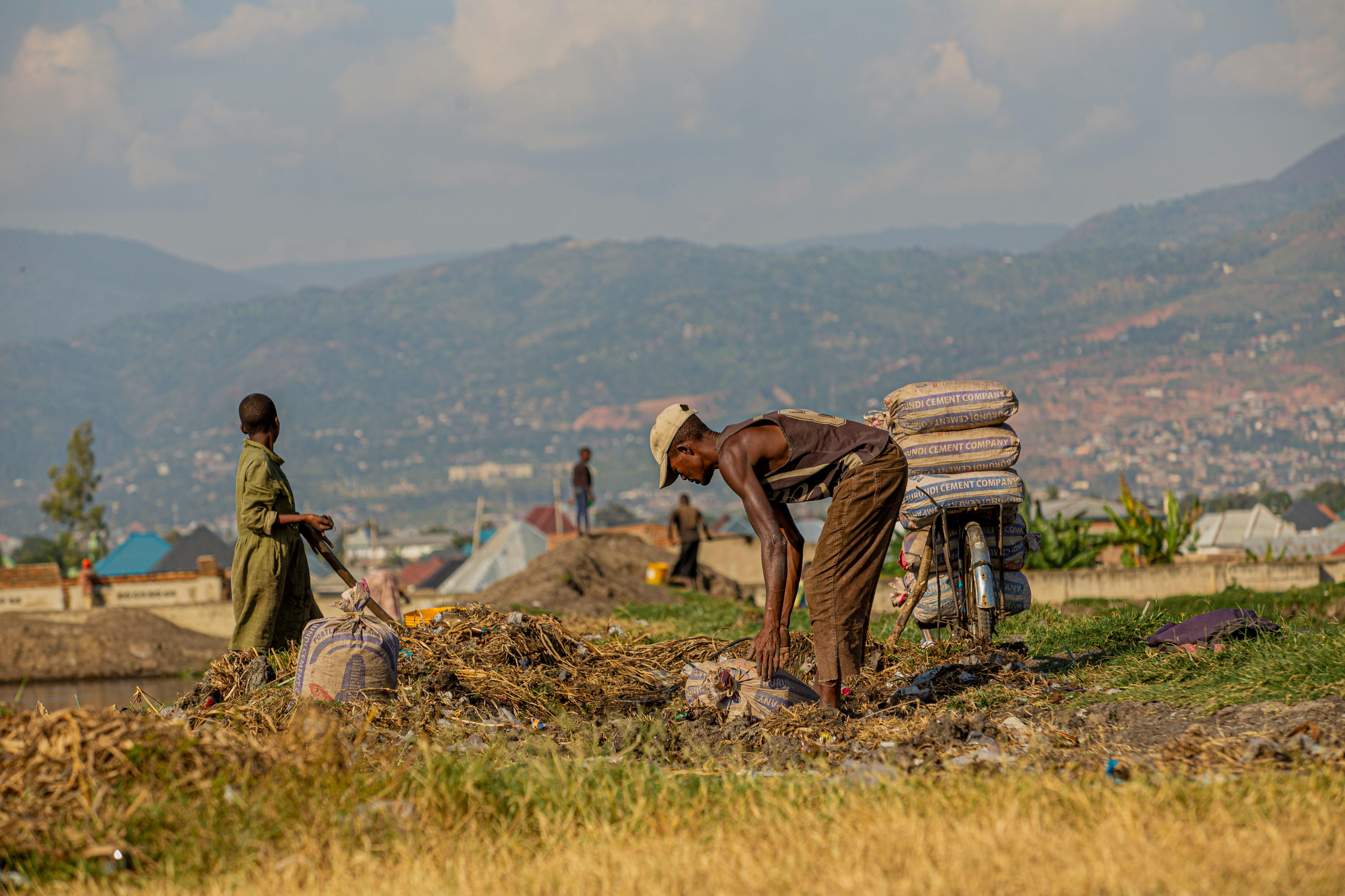 People Working in Field · Free Stock Photo