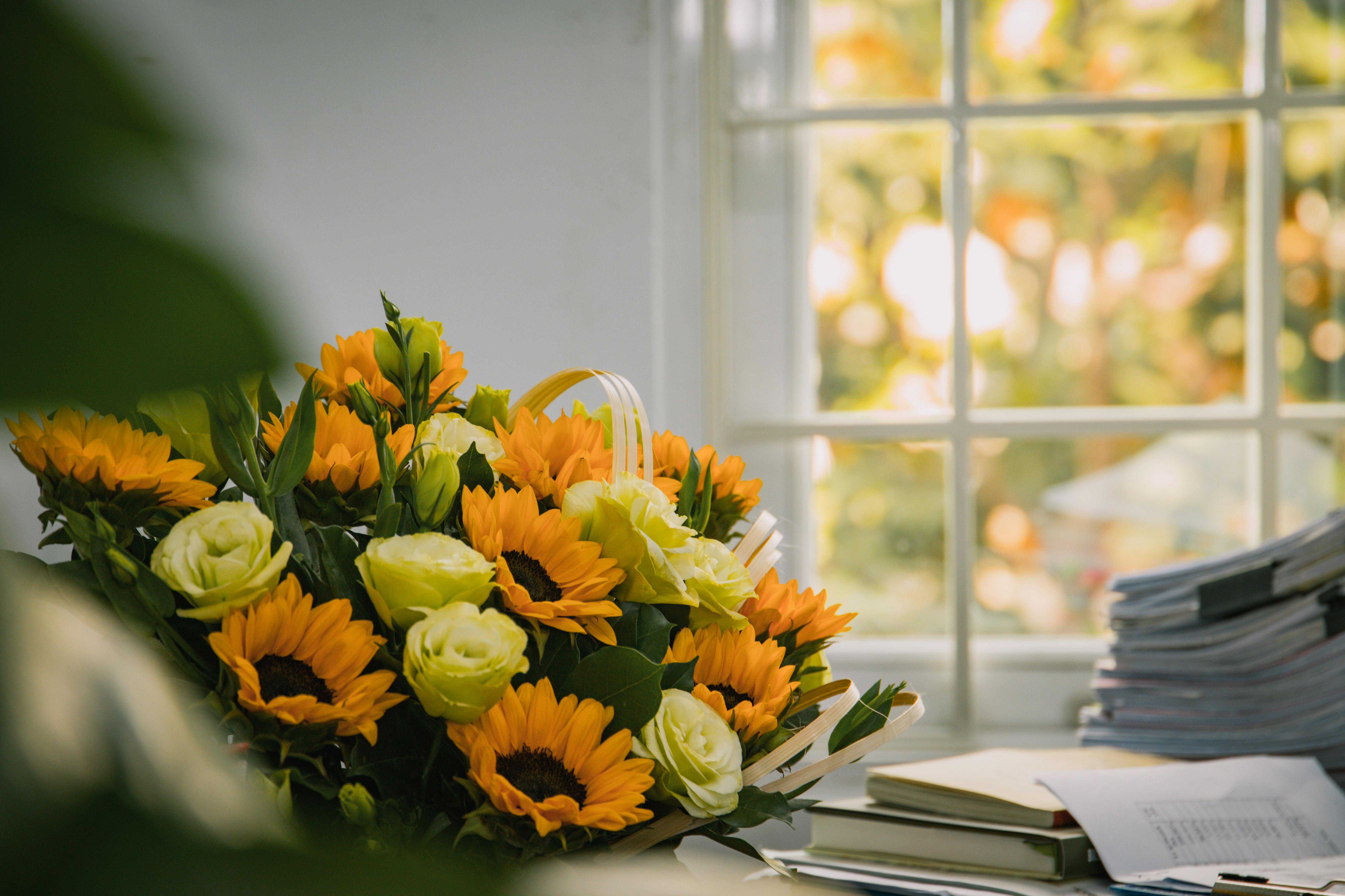 Rosa Room Photos, Download The BEST Free Rosa Room Stock Photos & HD Images