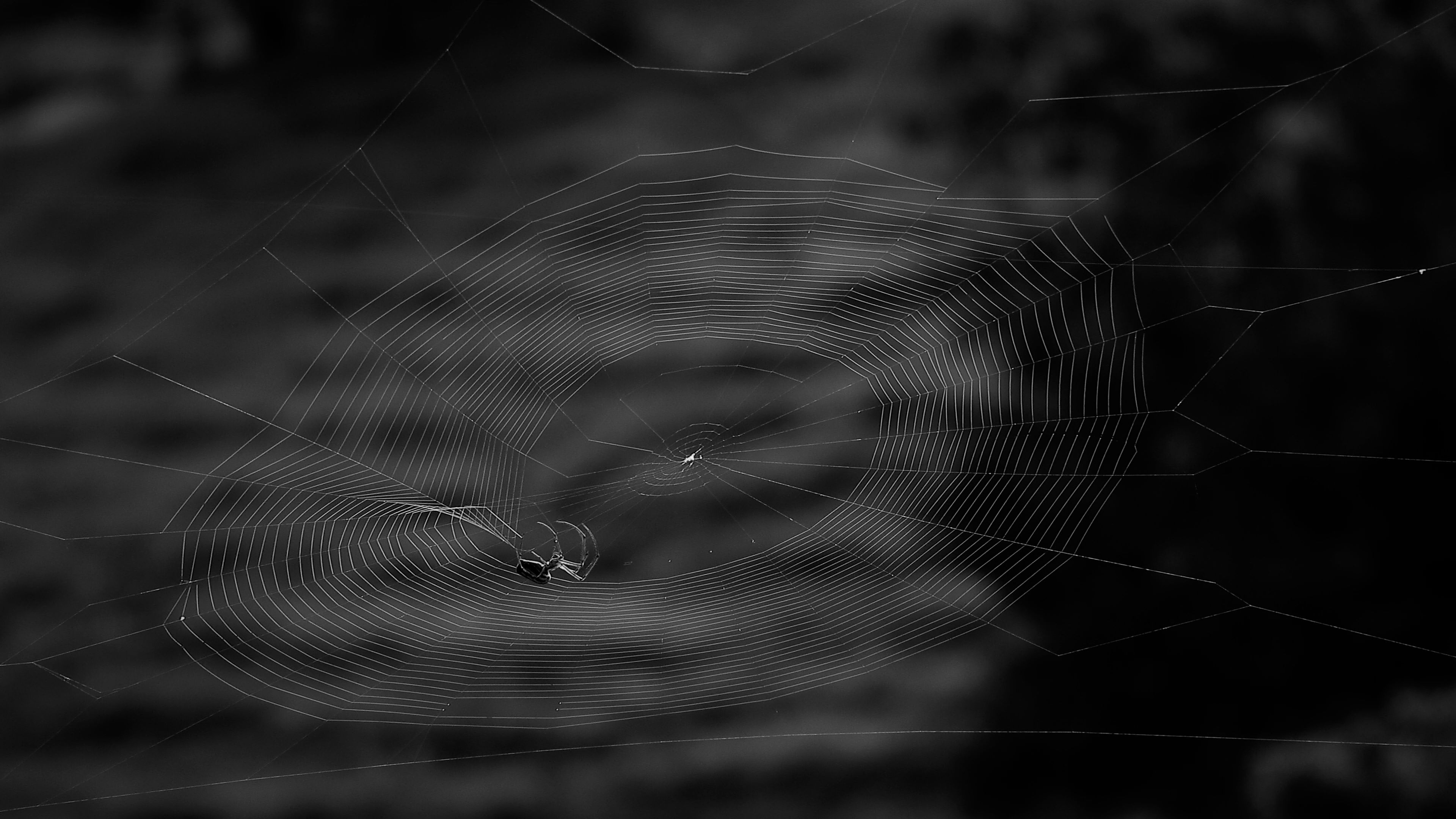Silk Road Dark Web Photos, Download The BEST Free Silk Road Dark Web ...