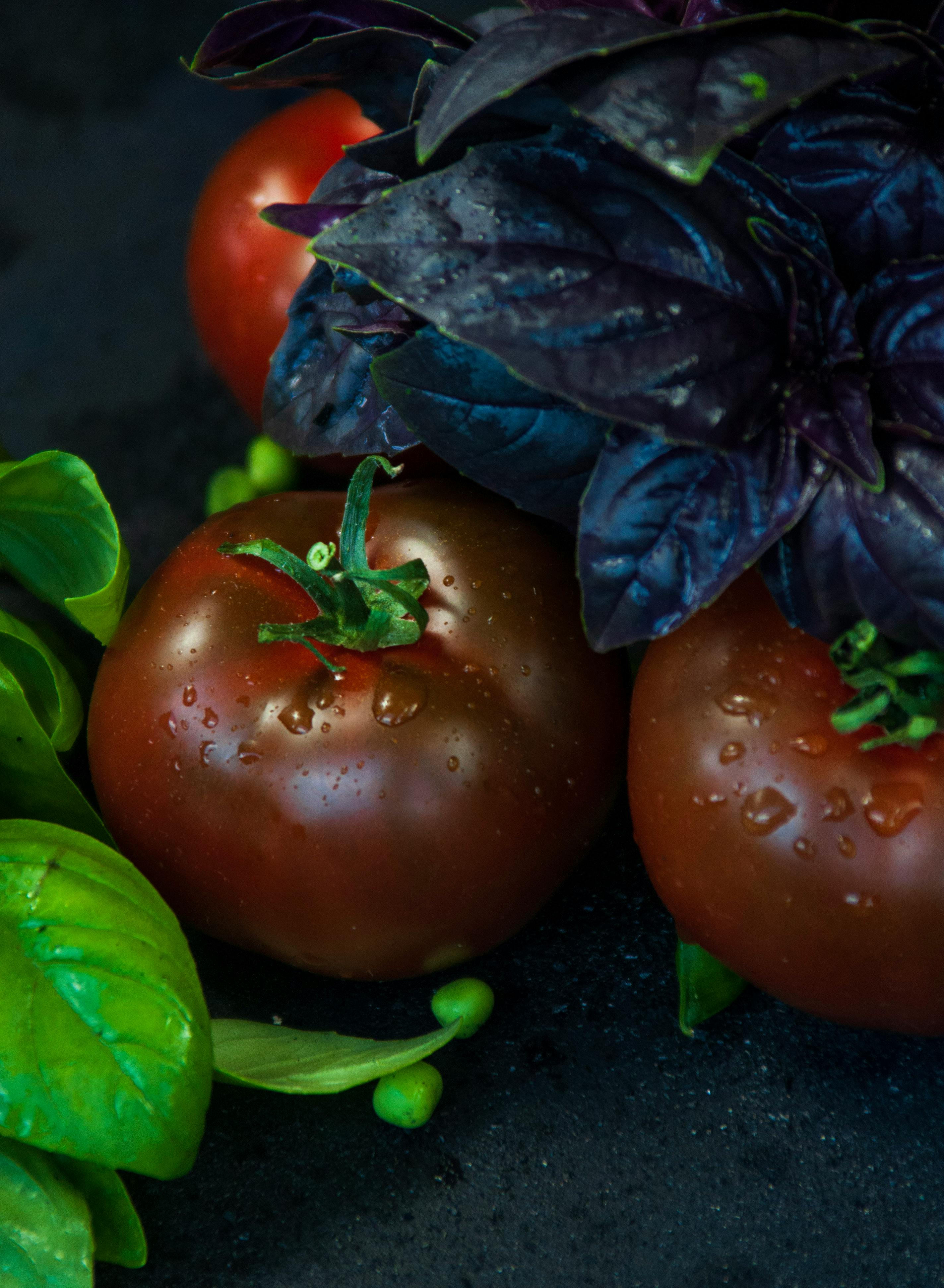 Close Up Shot of Green Vegetables · Free Stock Photo