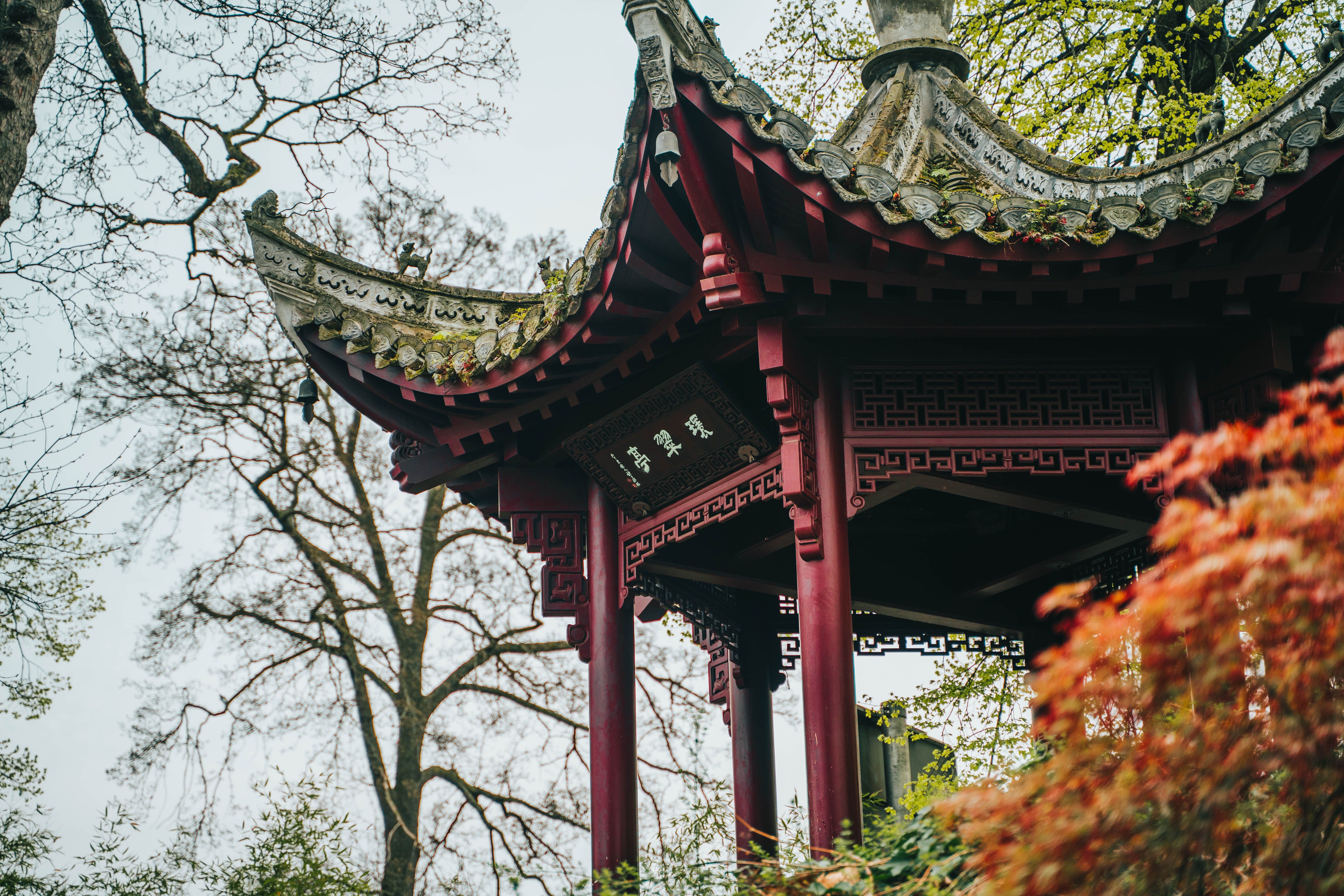 Pagoda among Trees · Free Stock Photo