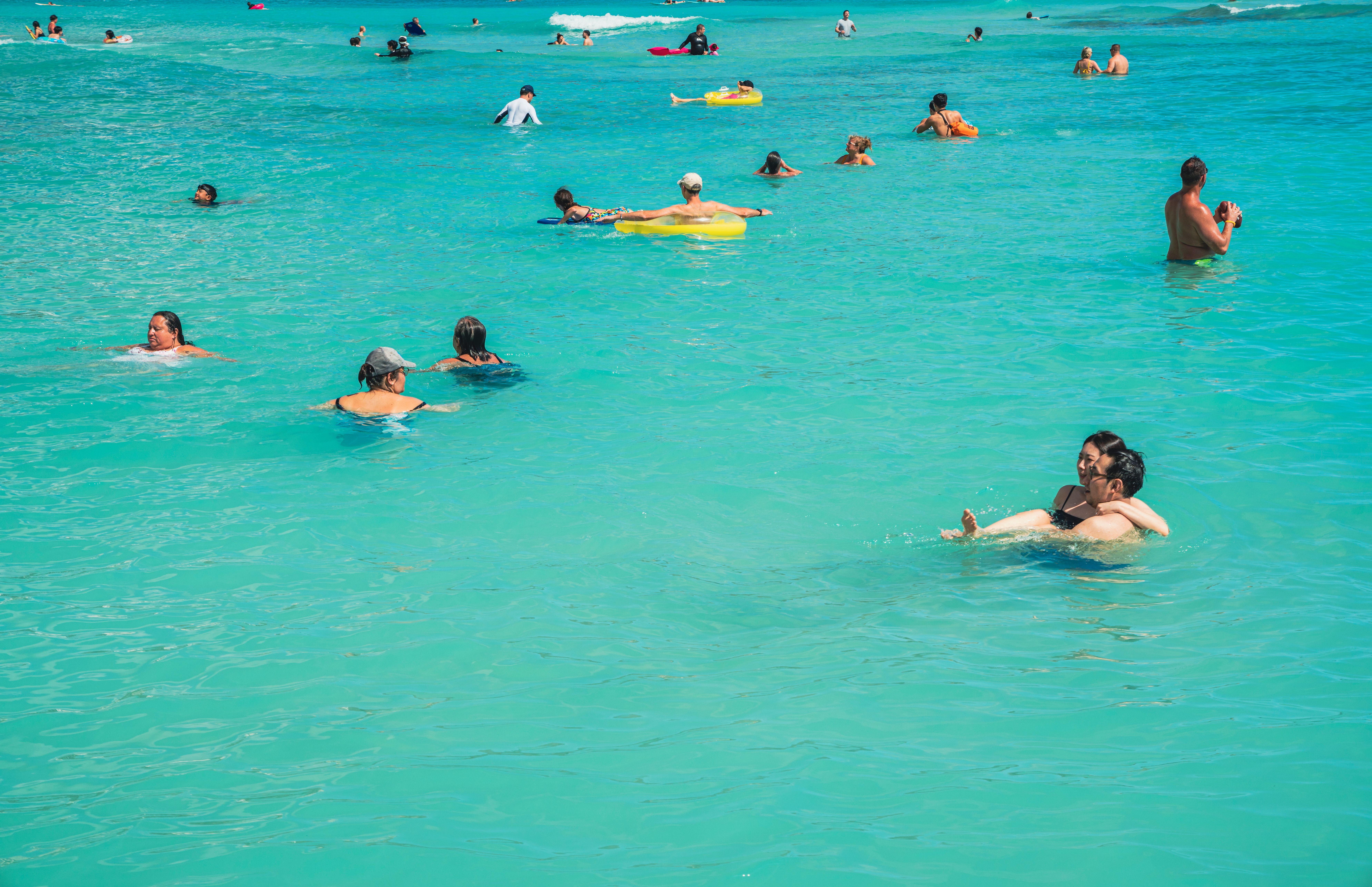 People Swimming on the Beach · Free Stock Photo