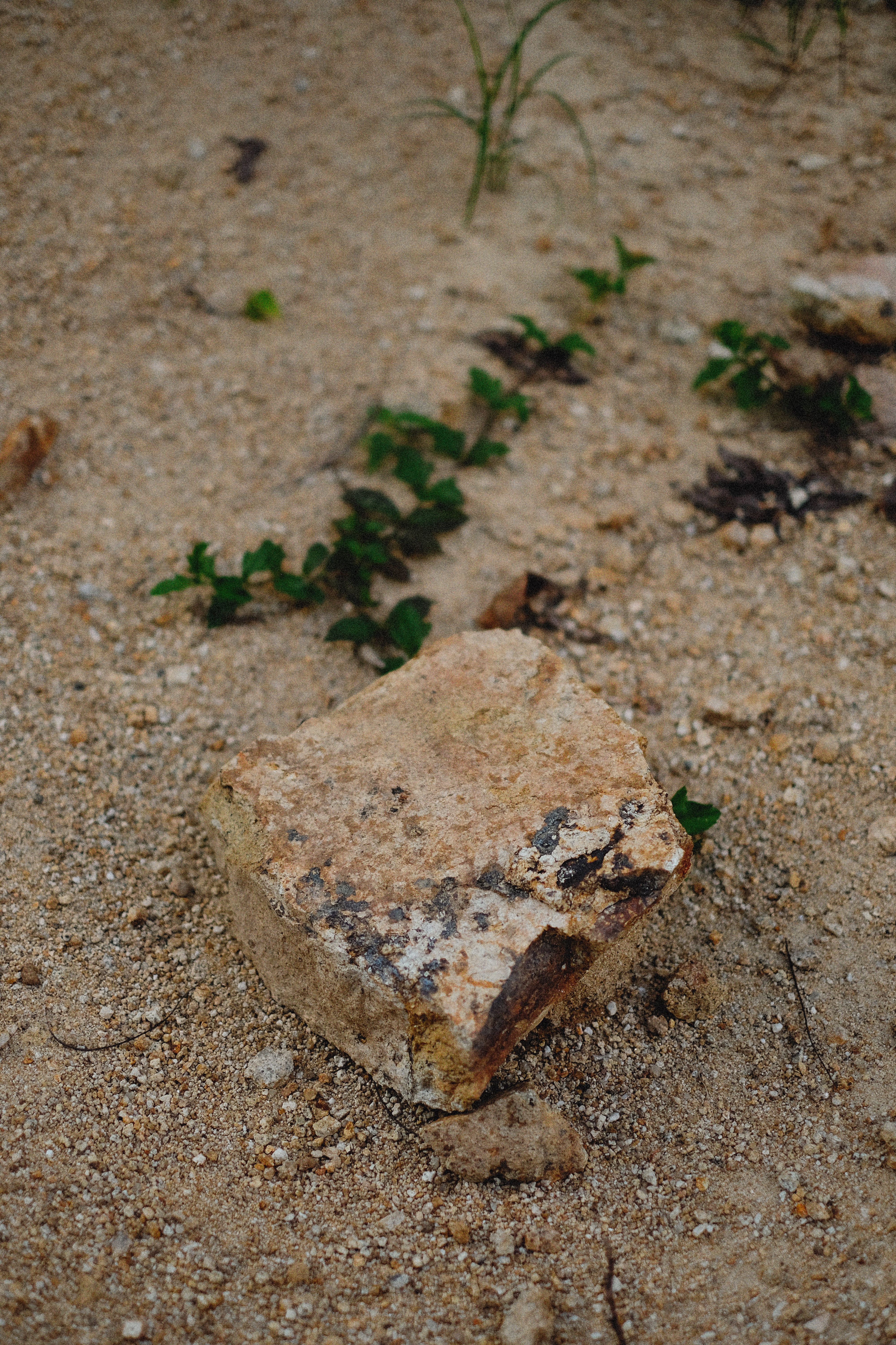 Close-Up Shot of a Rock · Free Stock Photo