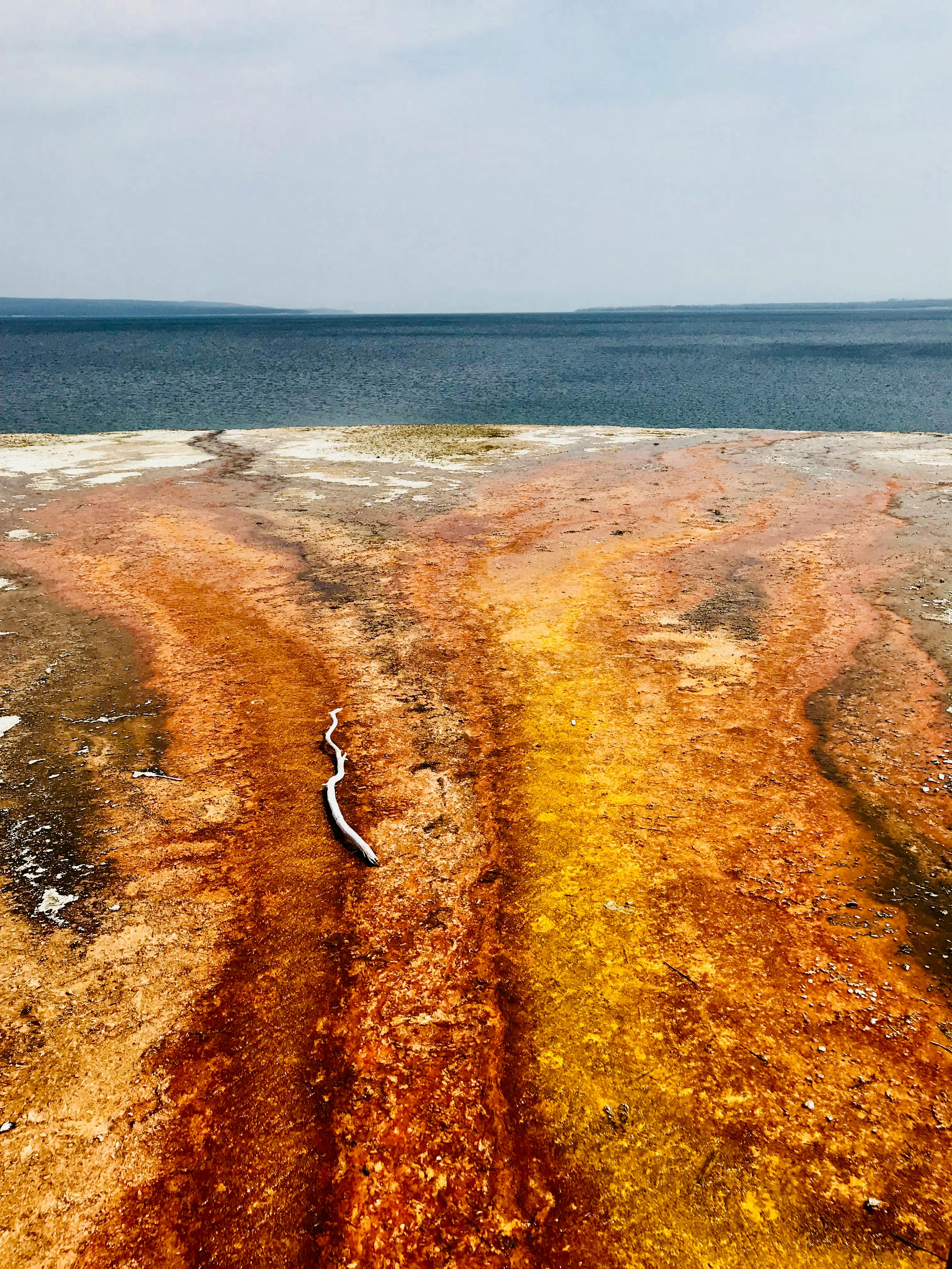 Colorful Sands of Beach · Free Stock Photo