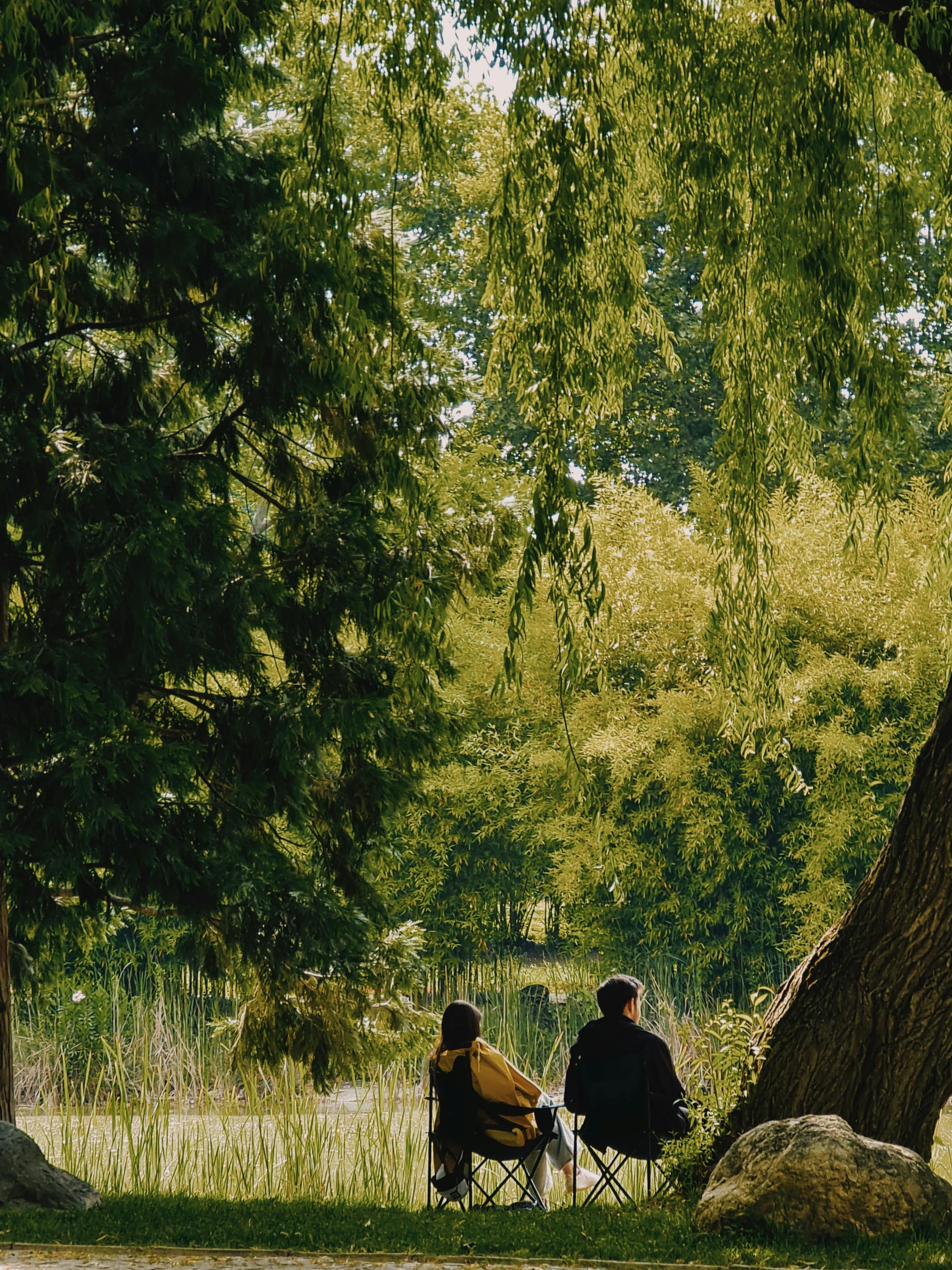 Luxuriant Photos, Download The BEST Free Luxuriant Stock Photos & HD Images