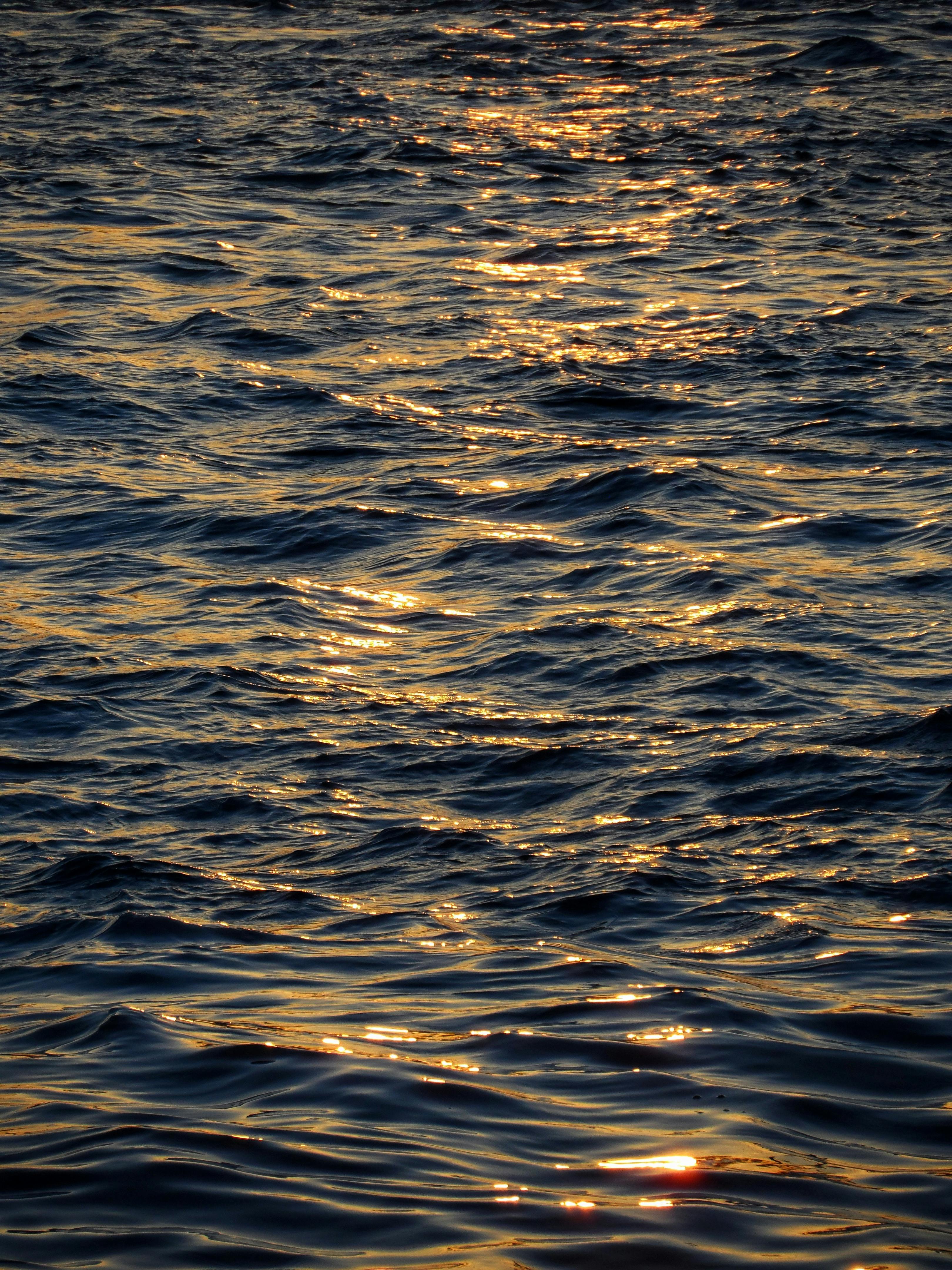 Ripples on Body of Water · Free Stock Photo