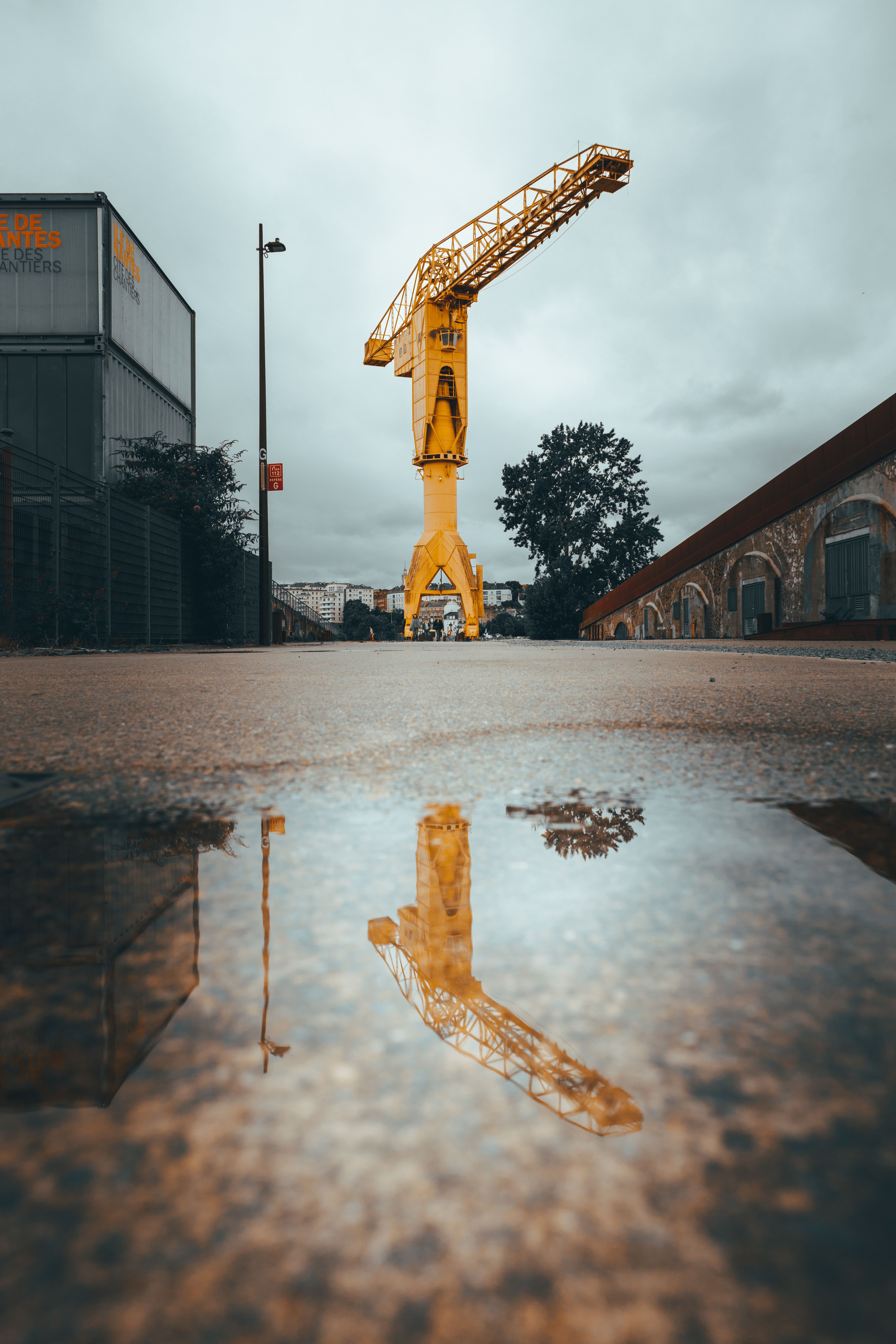 Crane Bird Reflection in Puddle on Road · Free Stock Photo
