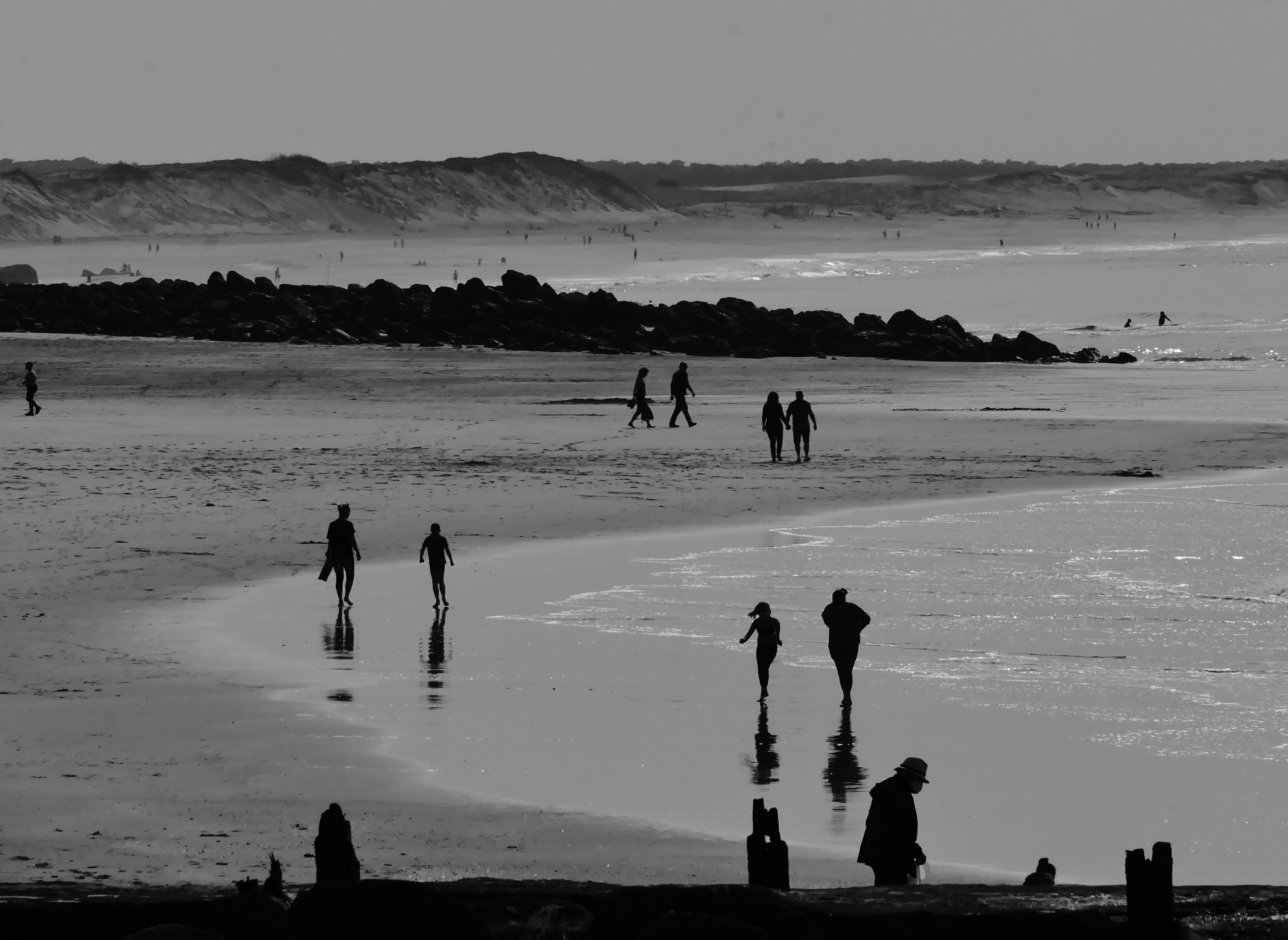 People Walking on the Beach · Free Stock Photo