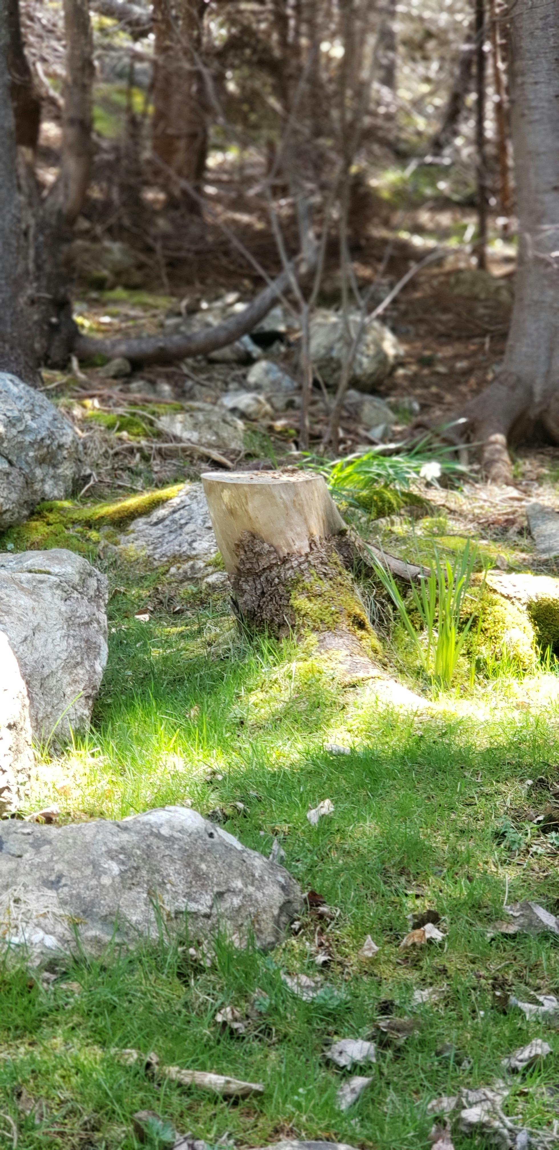Rock Formation Surrounded with Green Grass · Free Stock Photo
