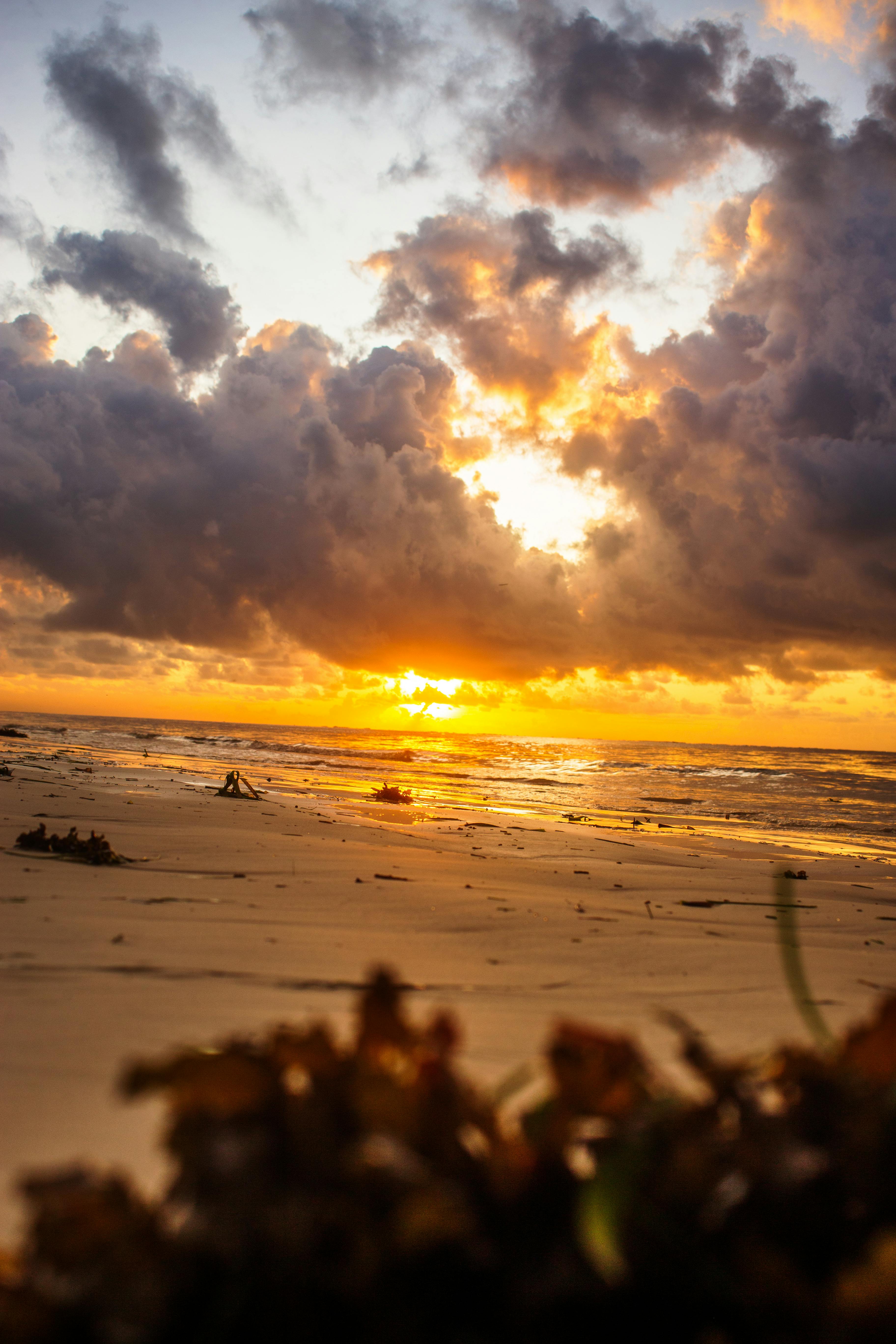 Samuel Phillips - Fotografía