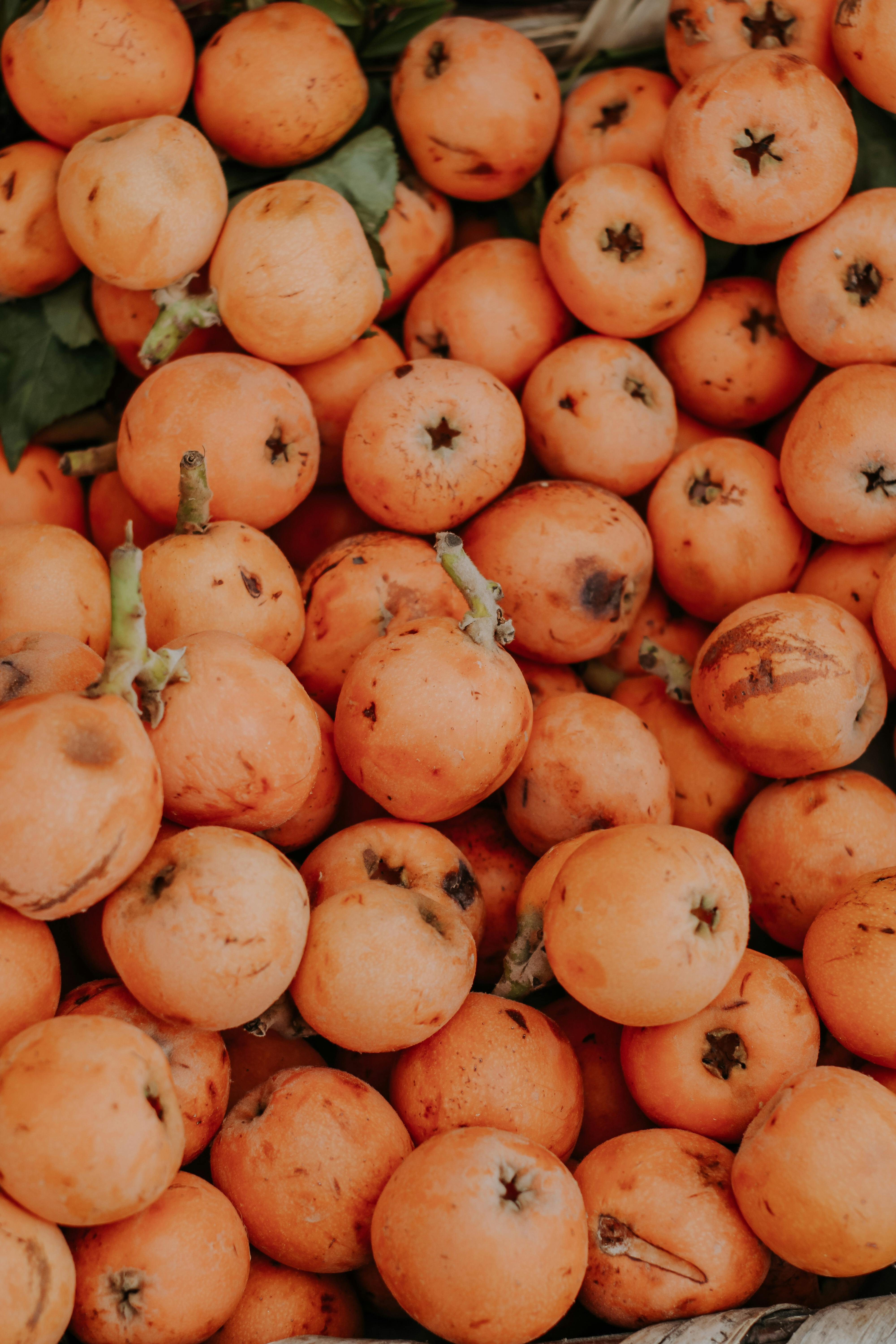 Close Up Photo of Bunch of Loquat Fruits · Free Stock Photo