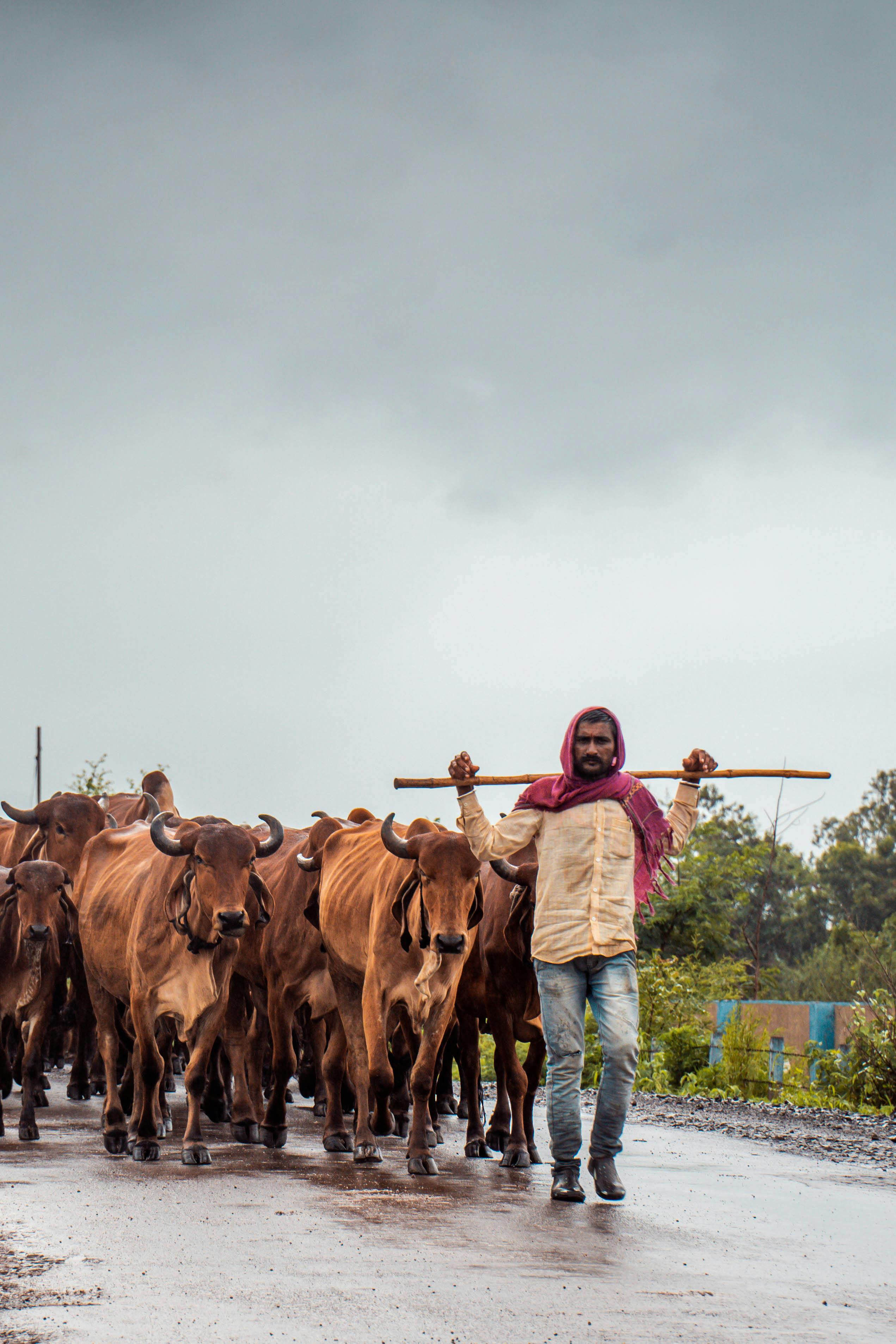 Road Man Photos, Download The BEST Free Road Man Stock Photos & HD Images