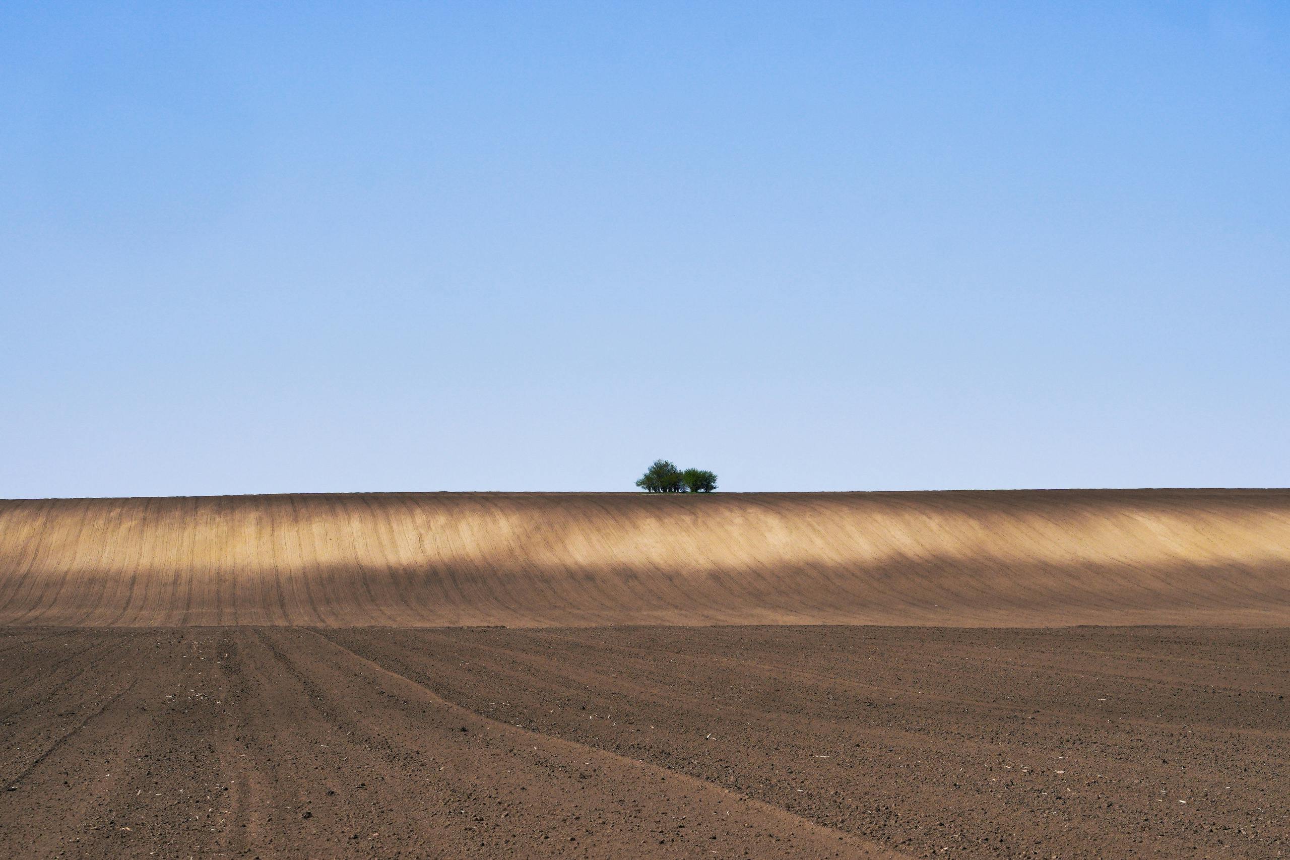 Fields on Exotic Island · Free Stock Photo
