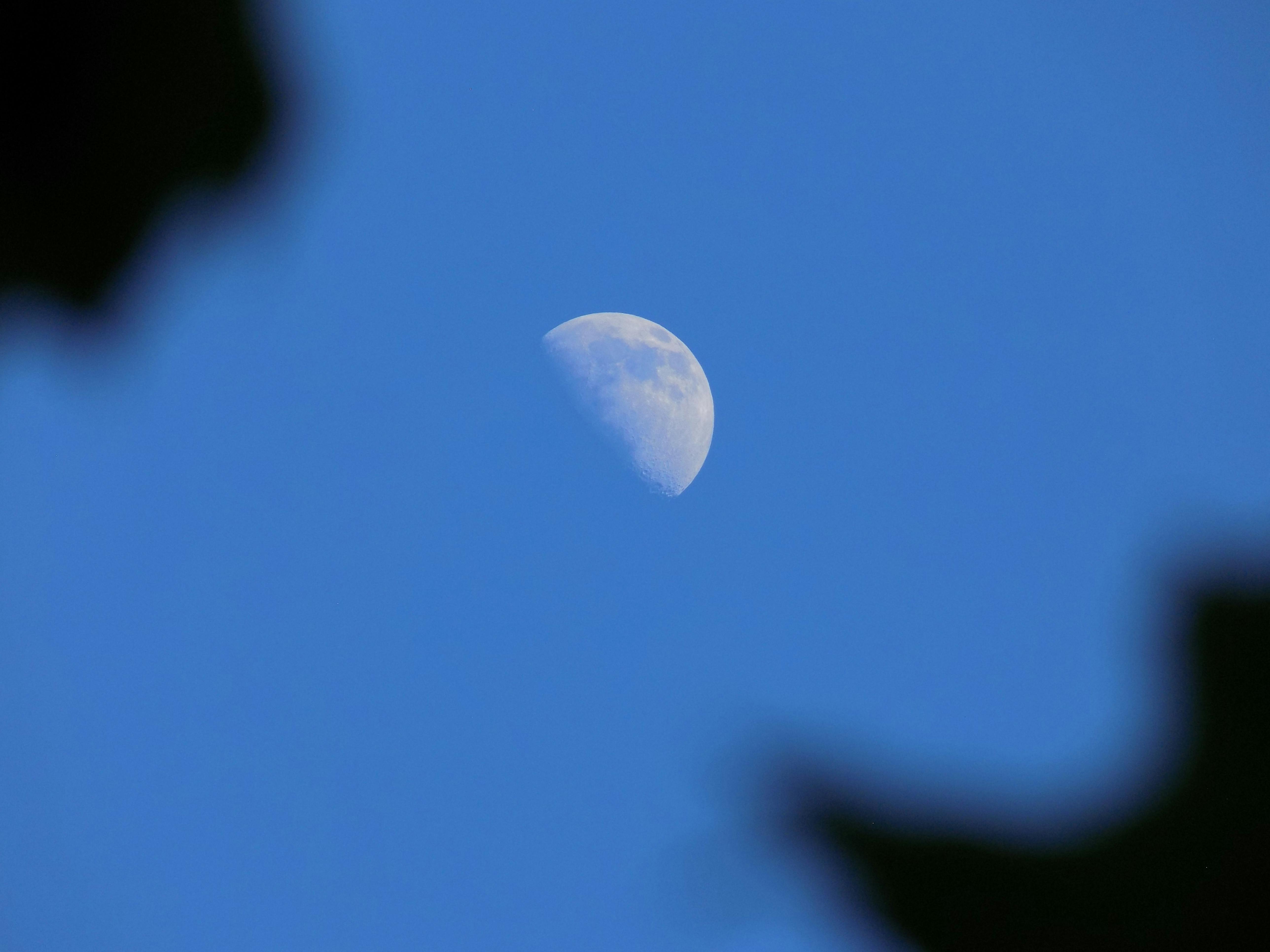 A Half Moon in the Blue Sky · Free Stock Photo