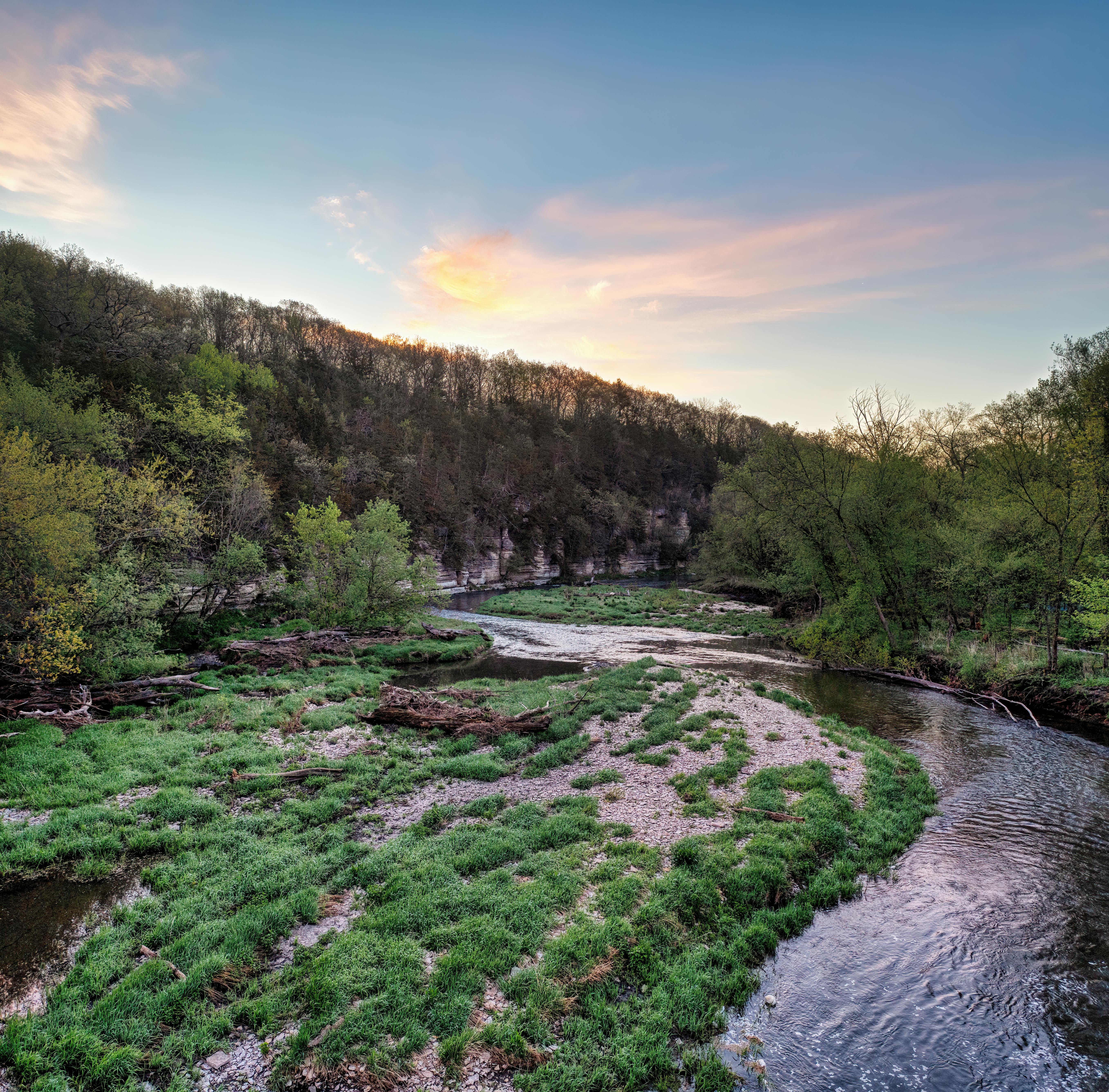 Trees around River · Free Stock Photo