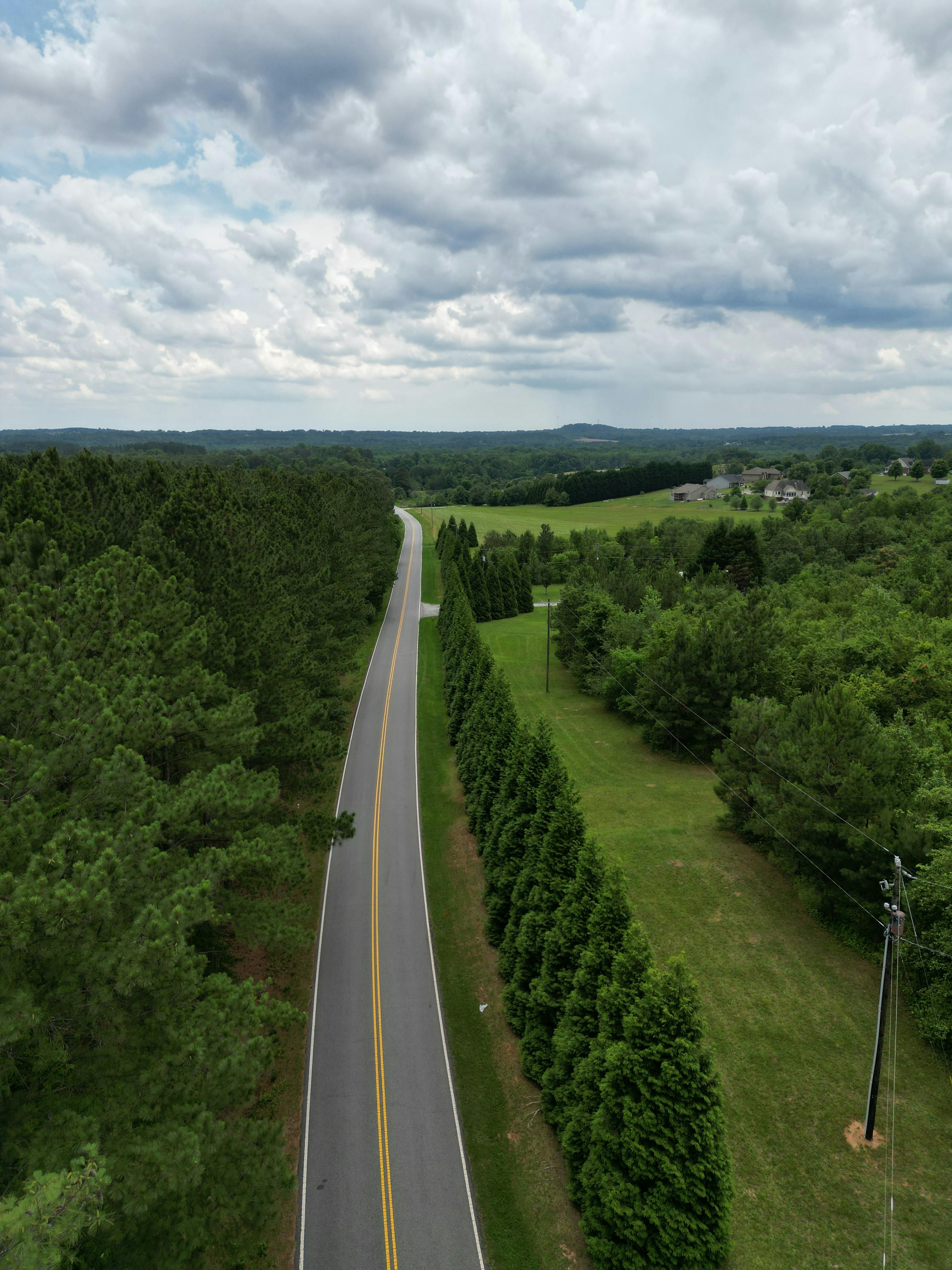 Aerial View of Green and Autumn Trees Along Road Network · Free Stock Photo