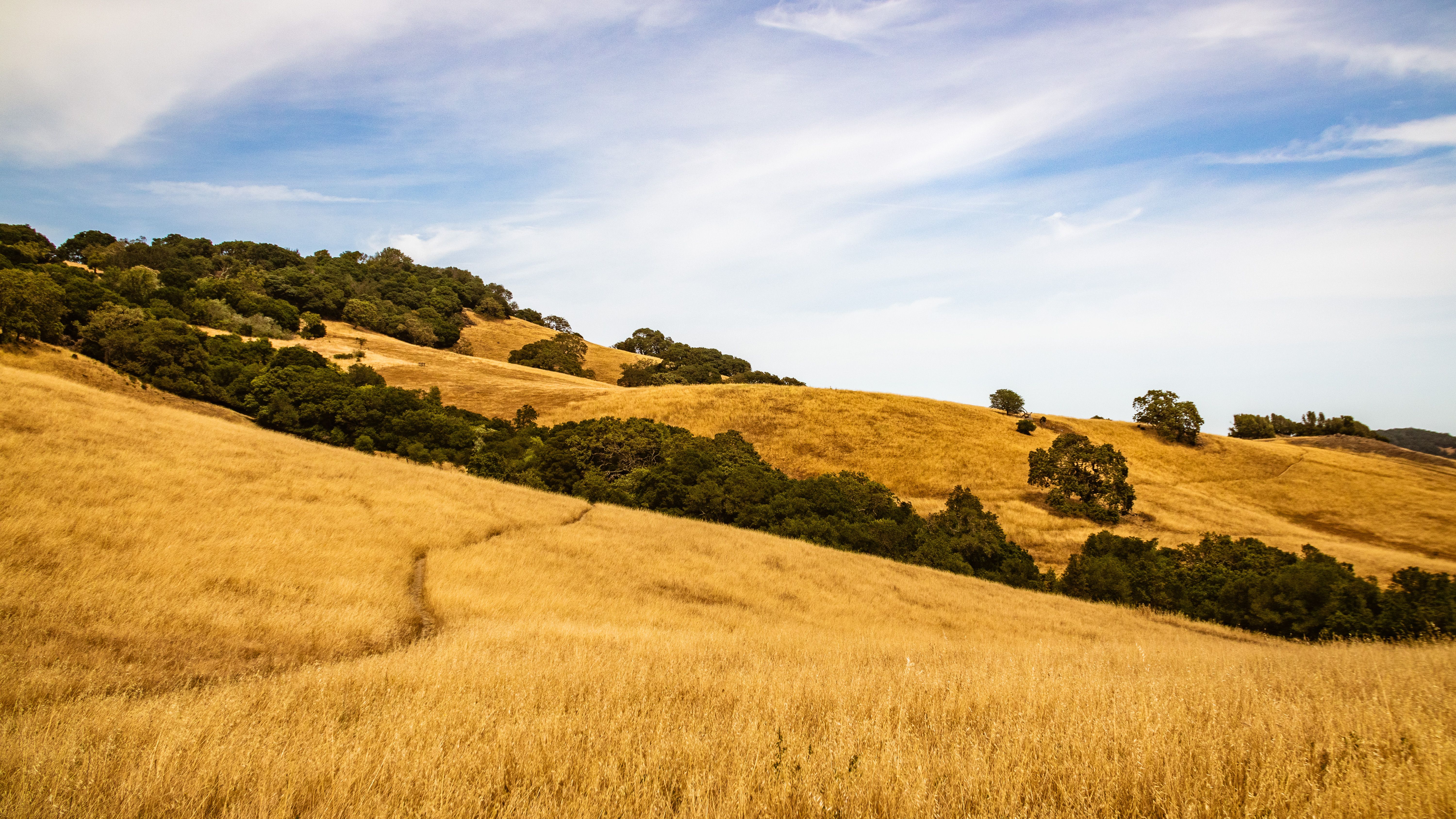 Brown Grass on Hillside · Free Stock Photo