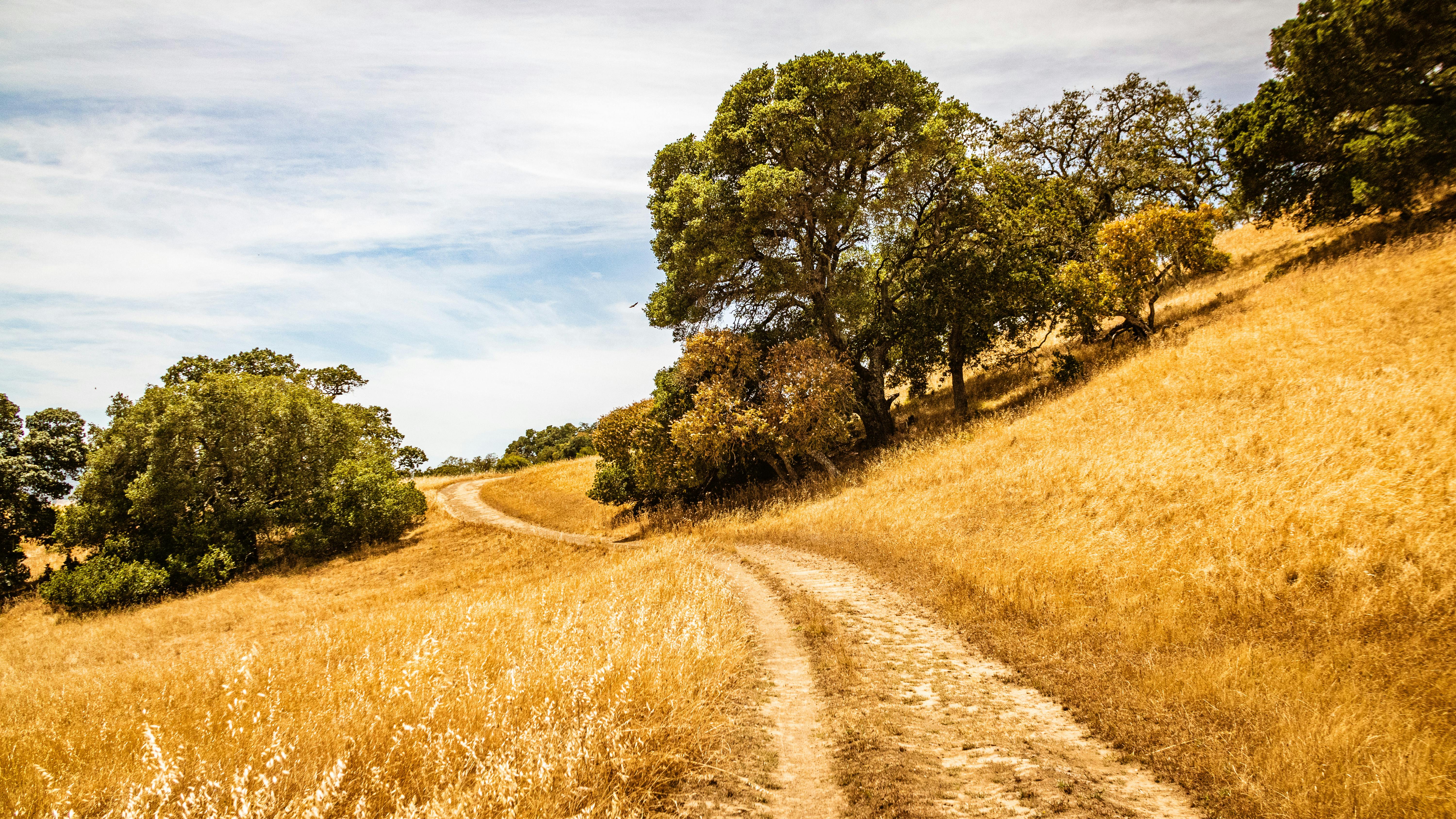 Pathway on Grass Field · Free Stock Photo