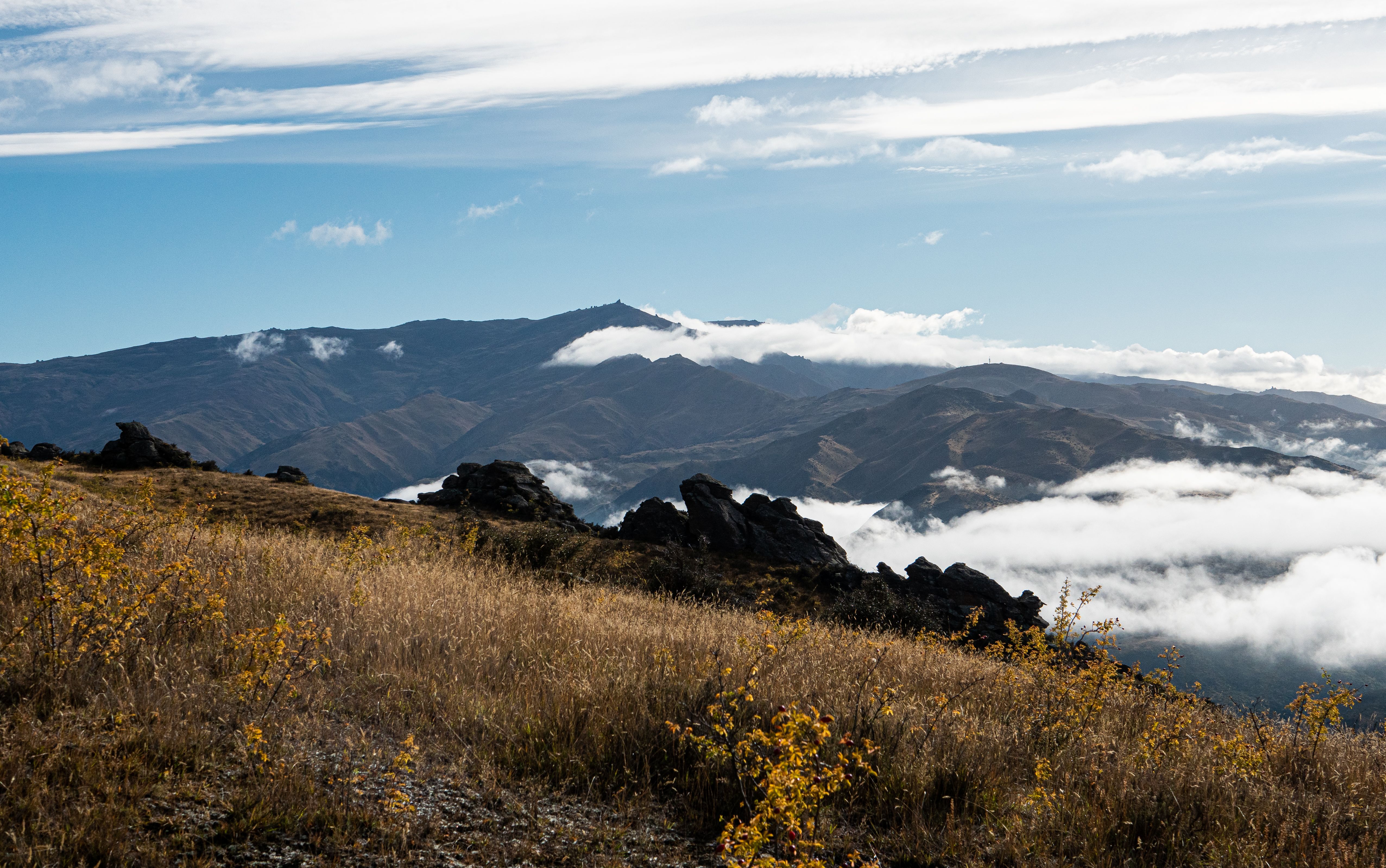 Brown Grass on the Mountain · Free Stock Photo