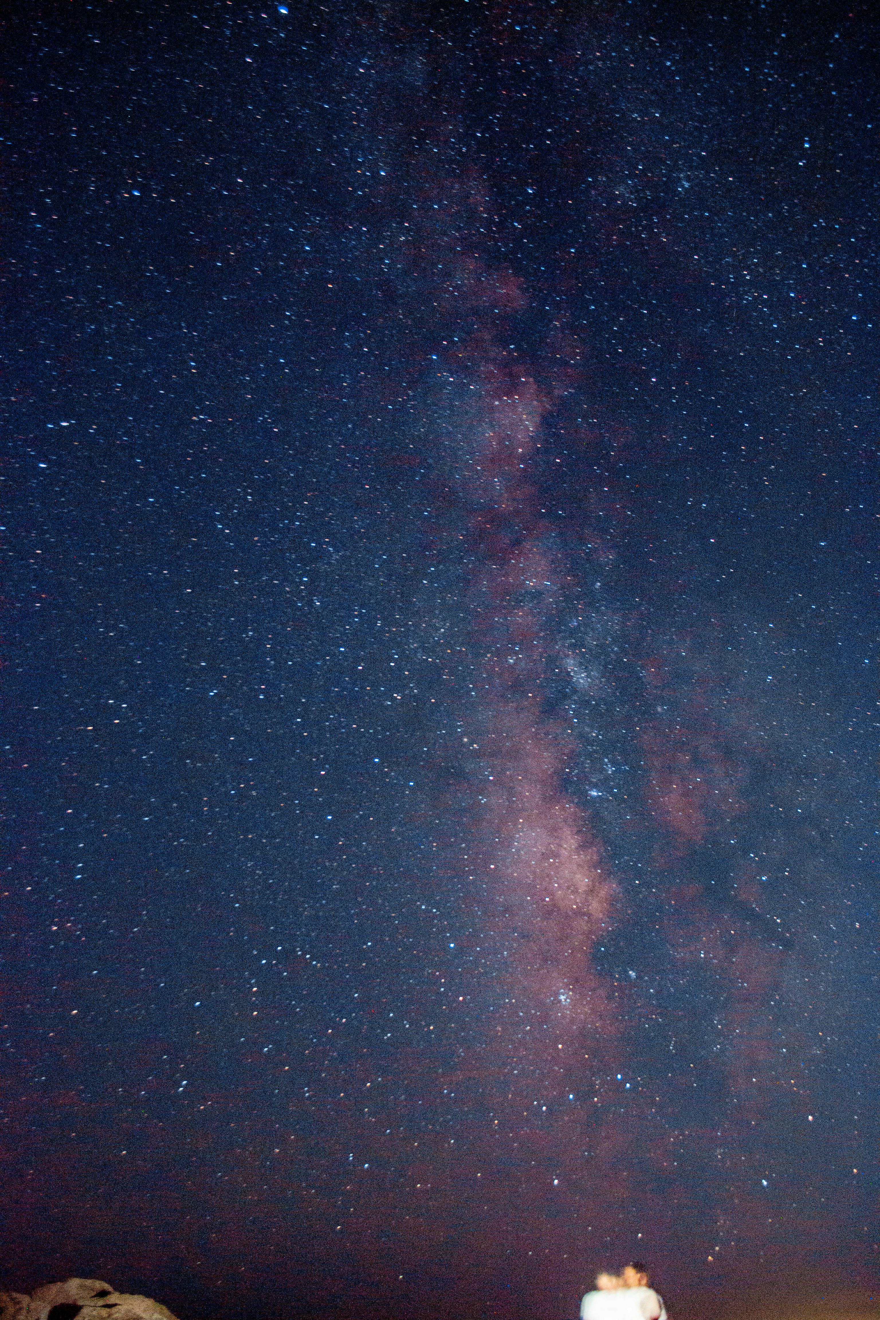 Stars in the Night Sky · Free Stock Photo