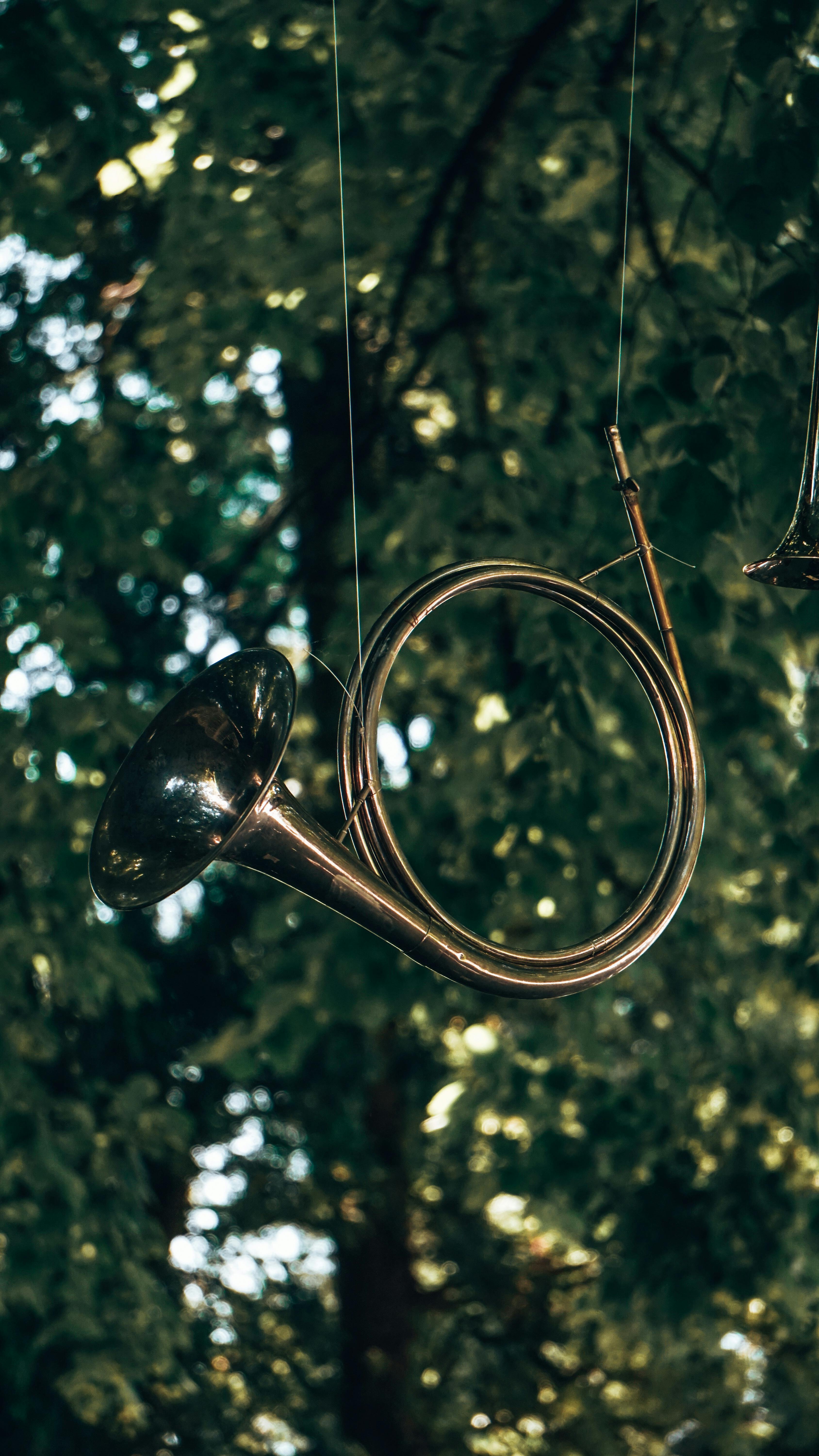 A French Horn Hanging Near the Green Tree · Free Stock Photo