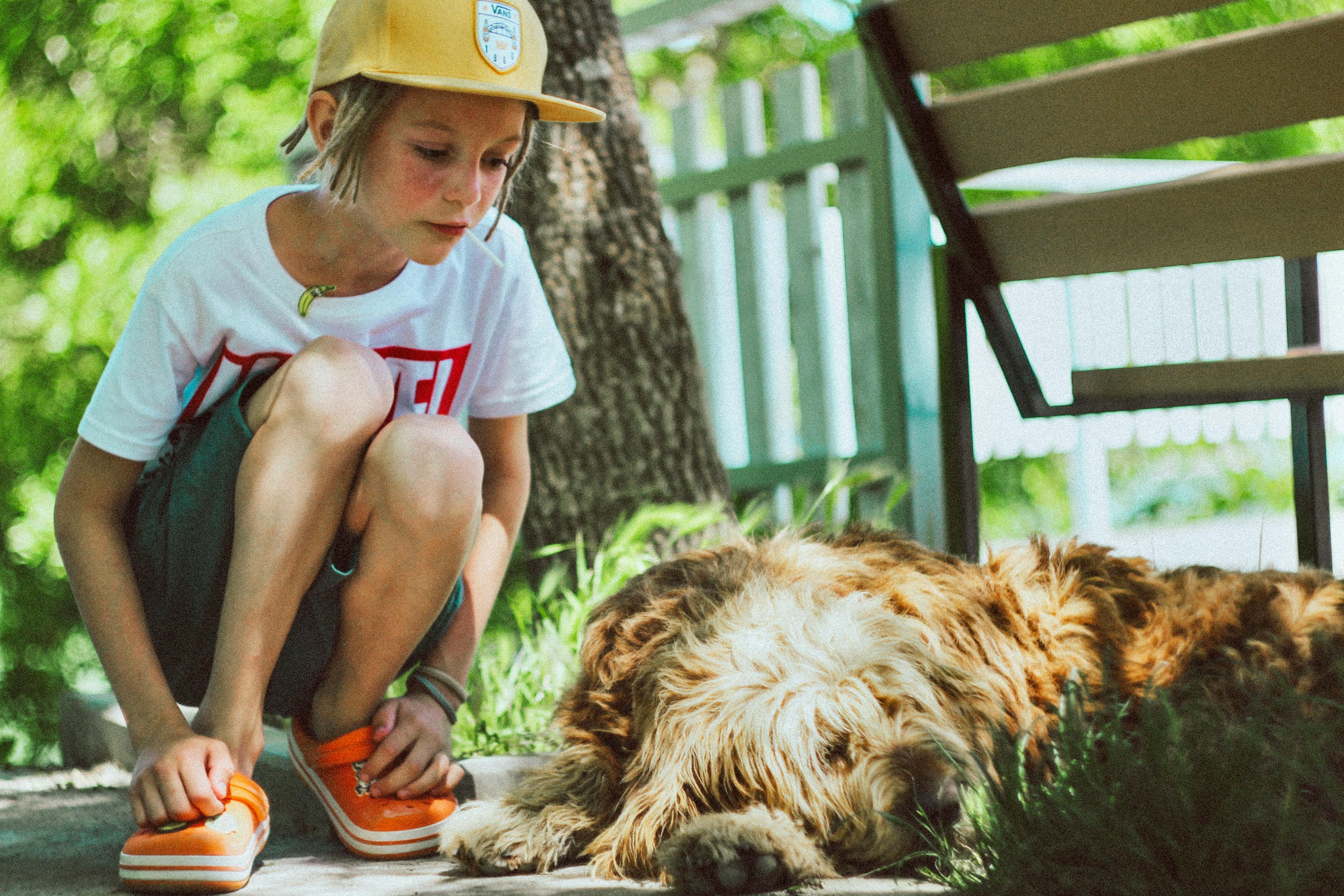 Photo of a Boy Looking at a Dog · Free Stock Photo