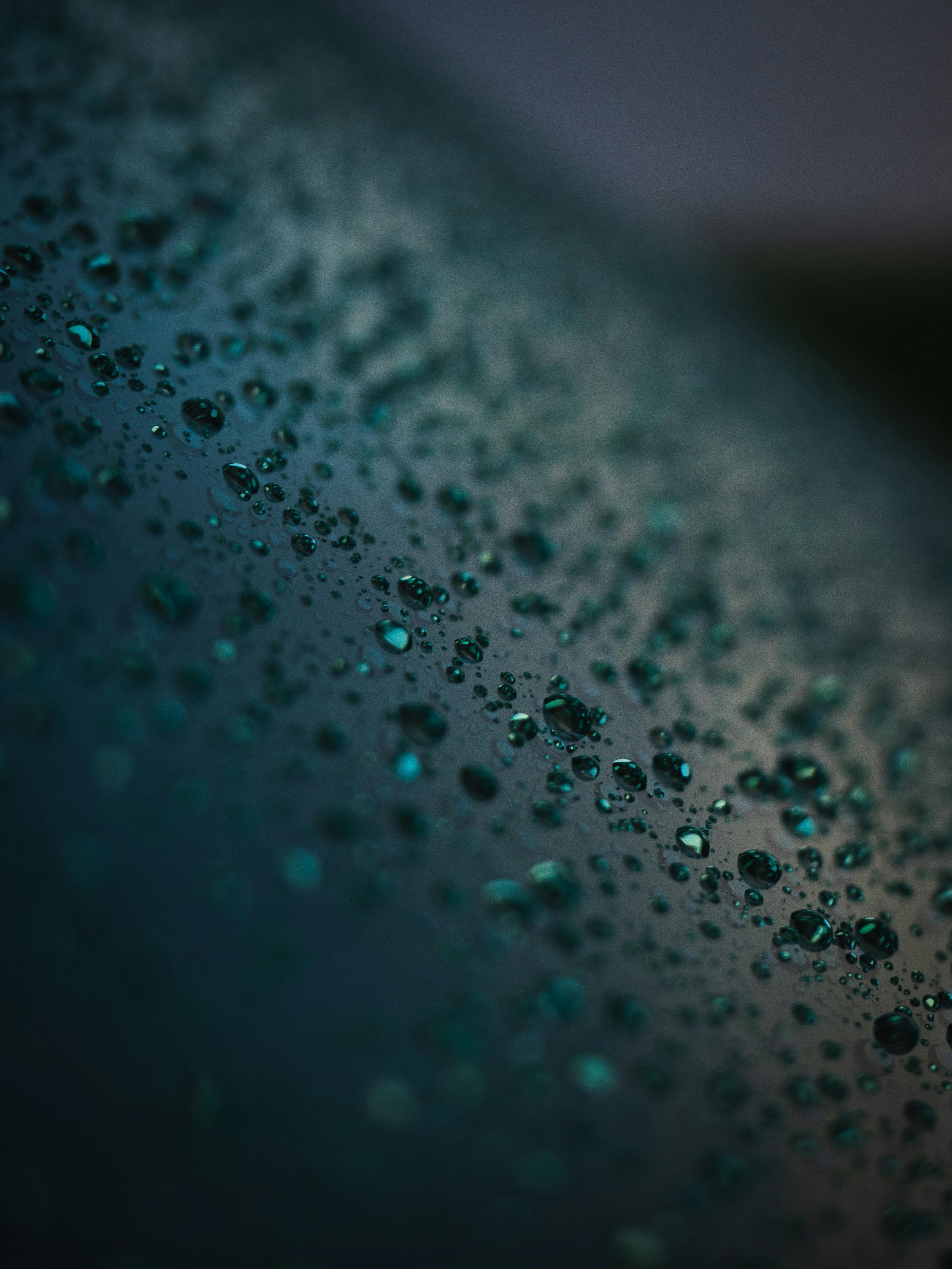 Close-Up Shot of Water Droplets · Free Stock Photo