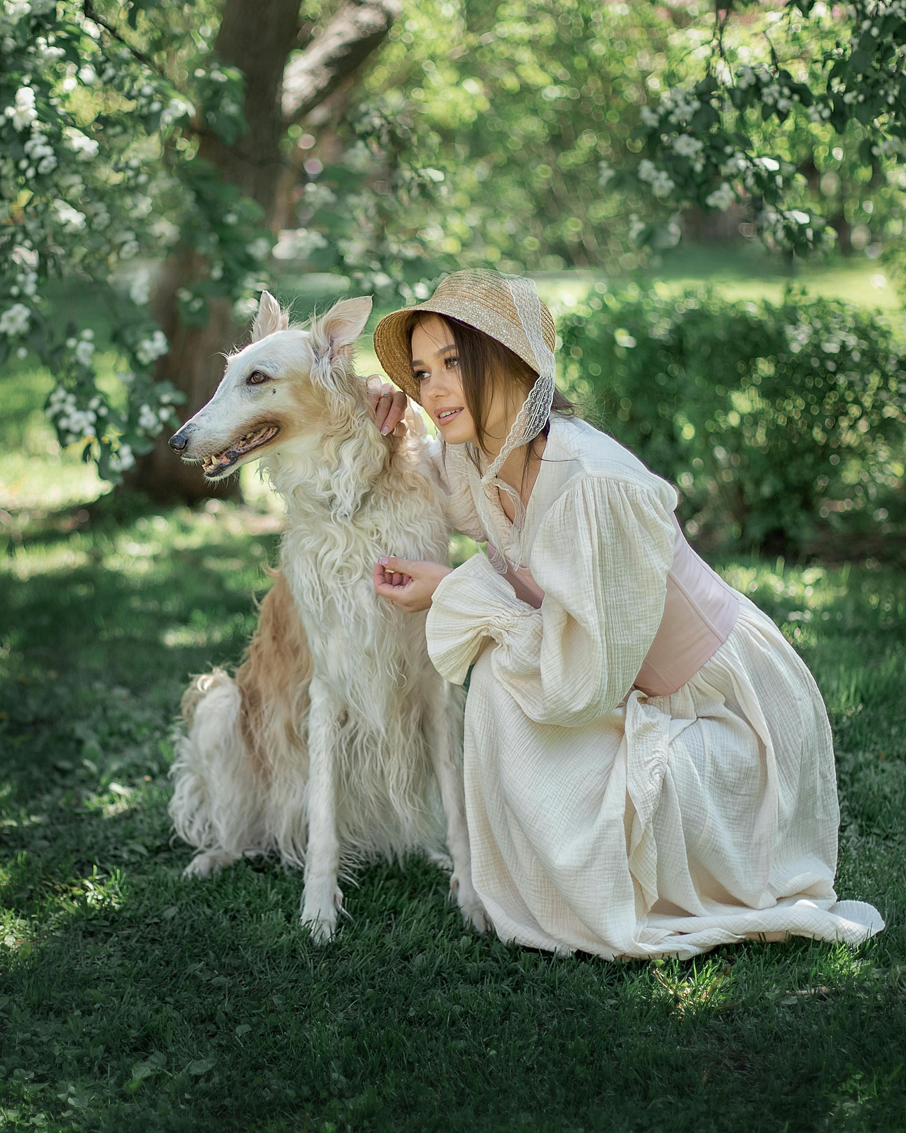 Borzoi Photos, Download The BEST Free Borzoi Stock Photos & HD Images