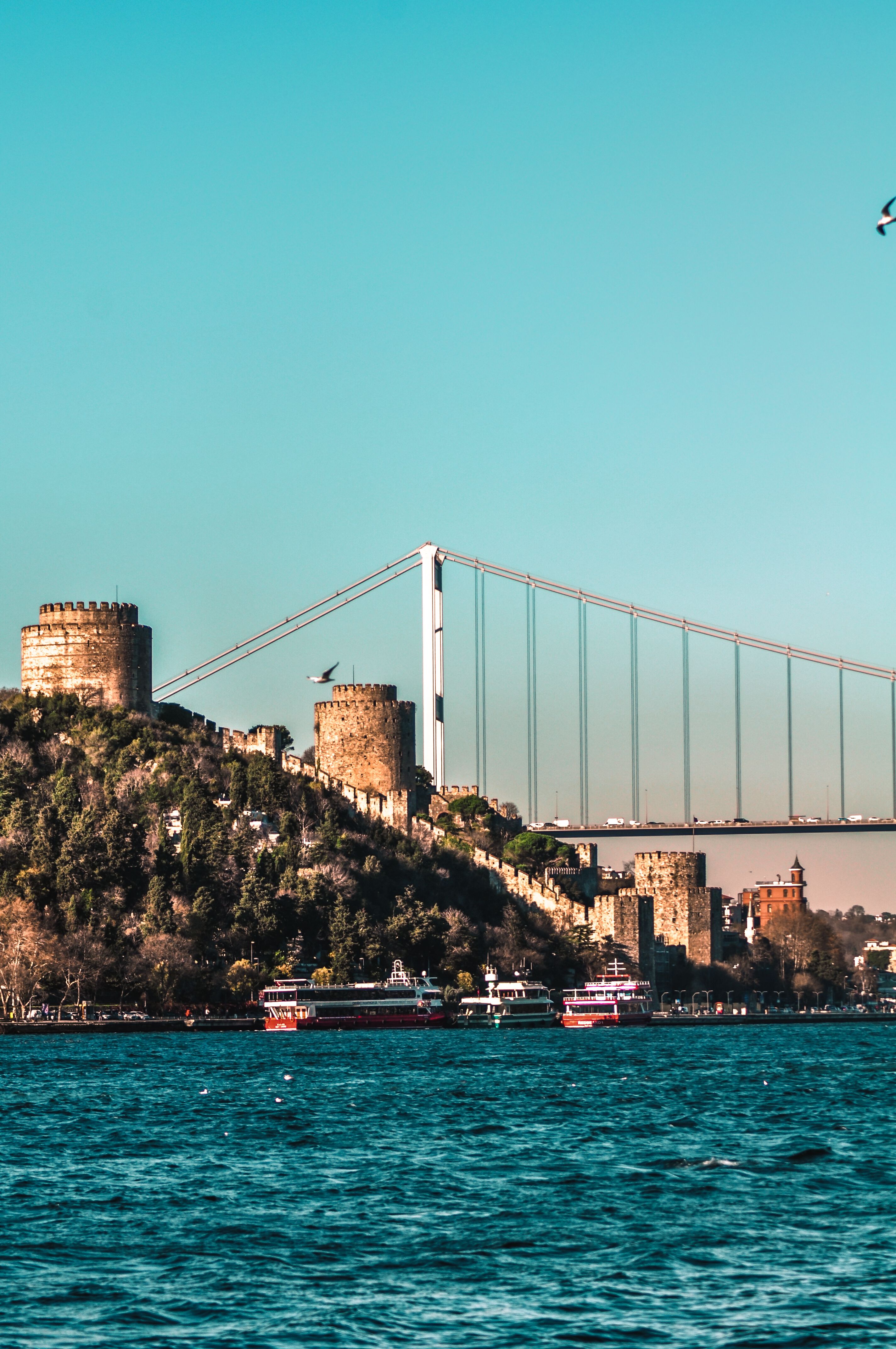 Medieval Watchtowers by Bridge across Bay · Free Stock Photo