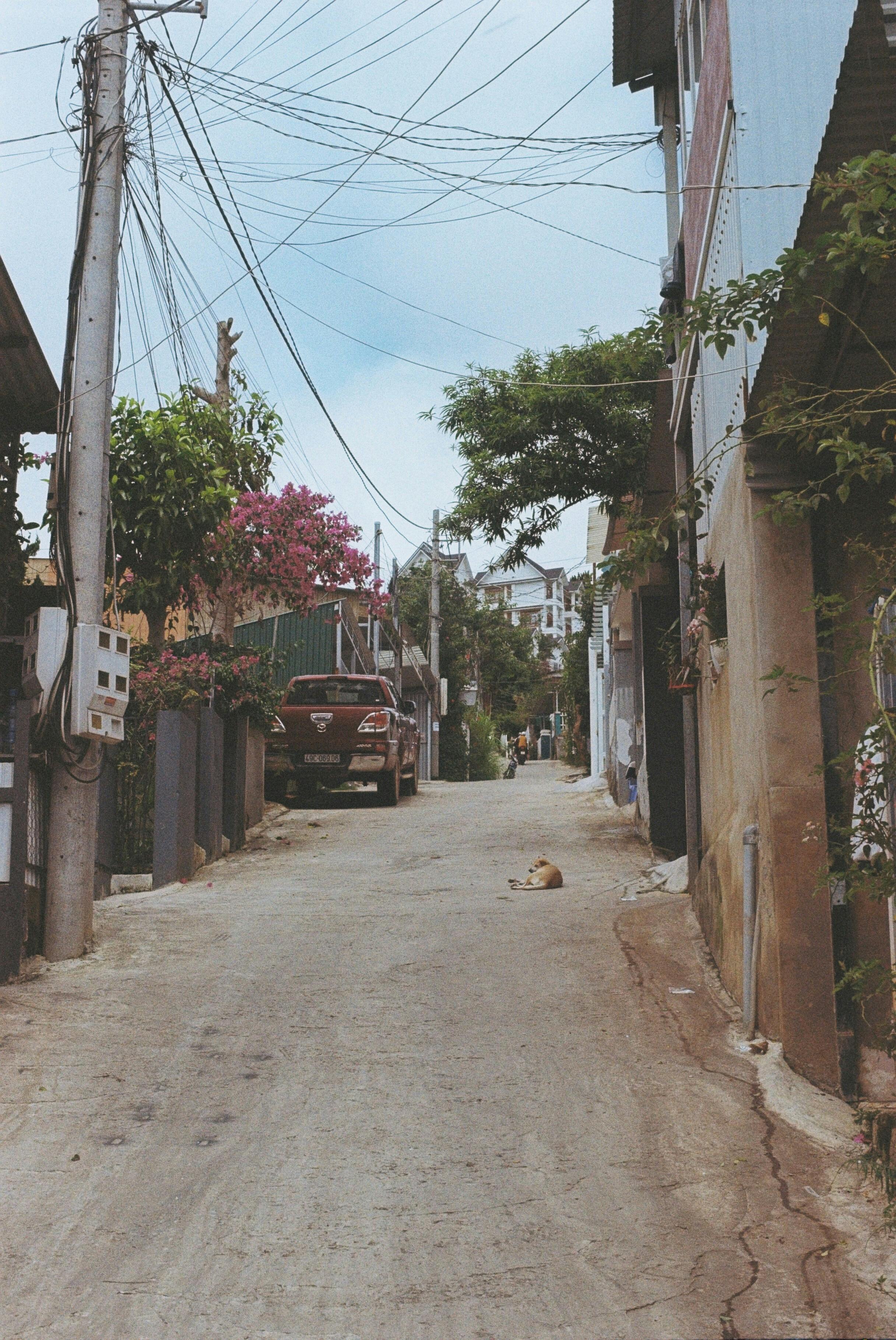 Empty Road Between Houses · Free Stock Photo