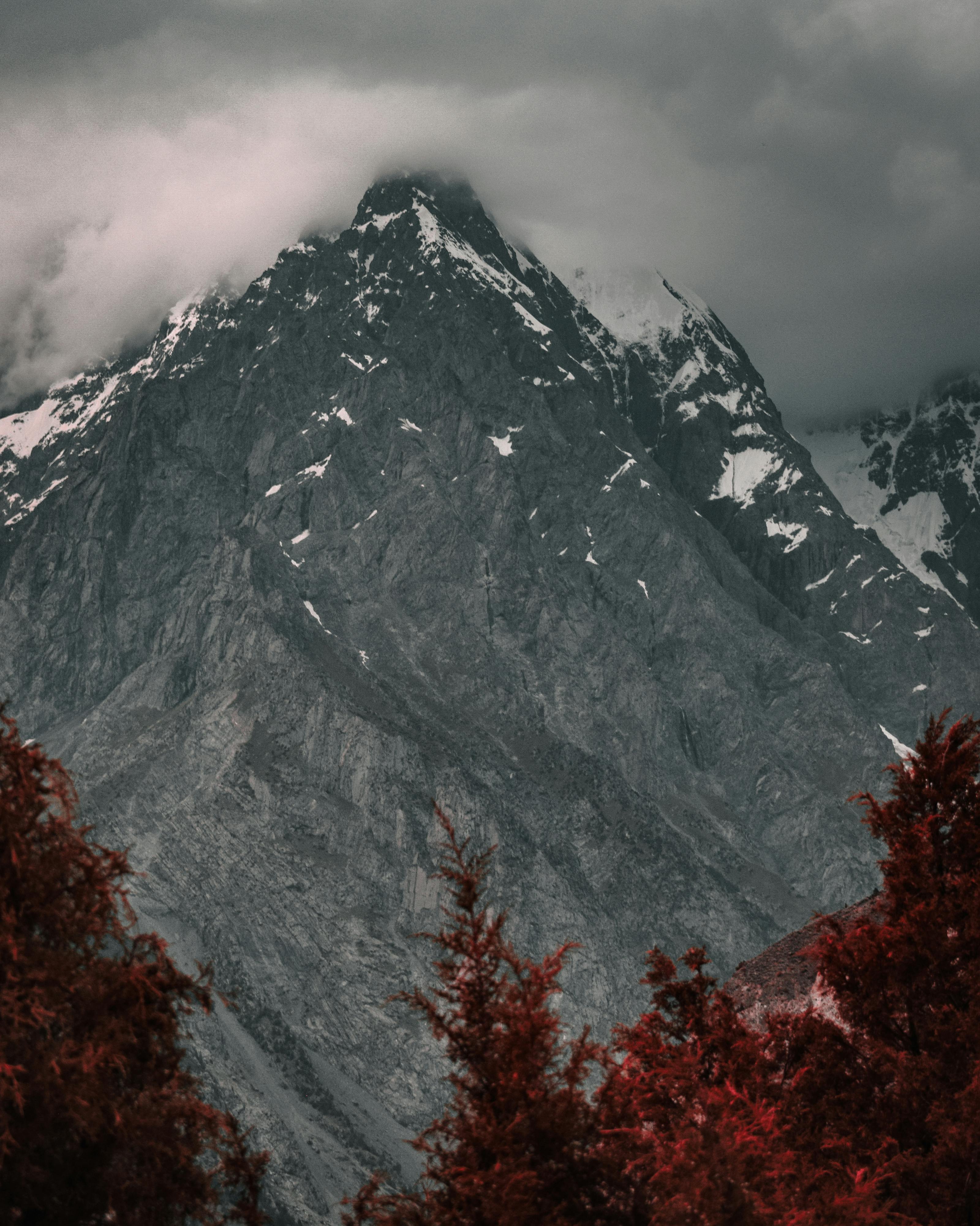 Gray Rocky Mountains near Red Trees · Free Stock Photo