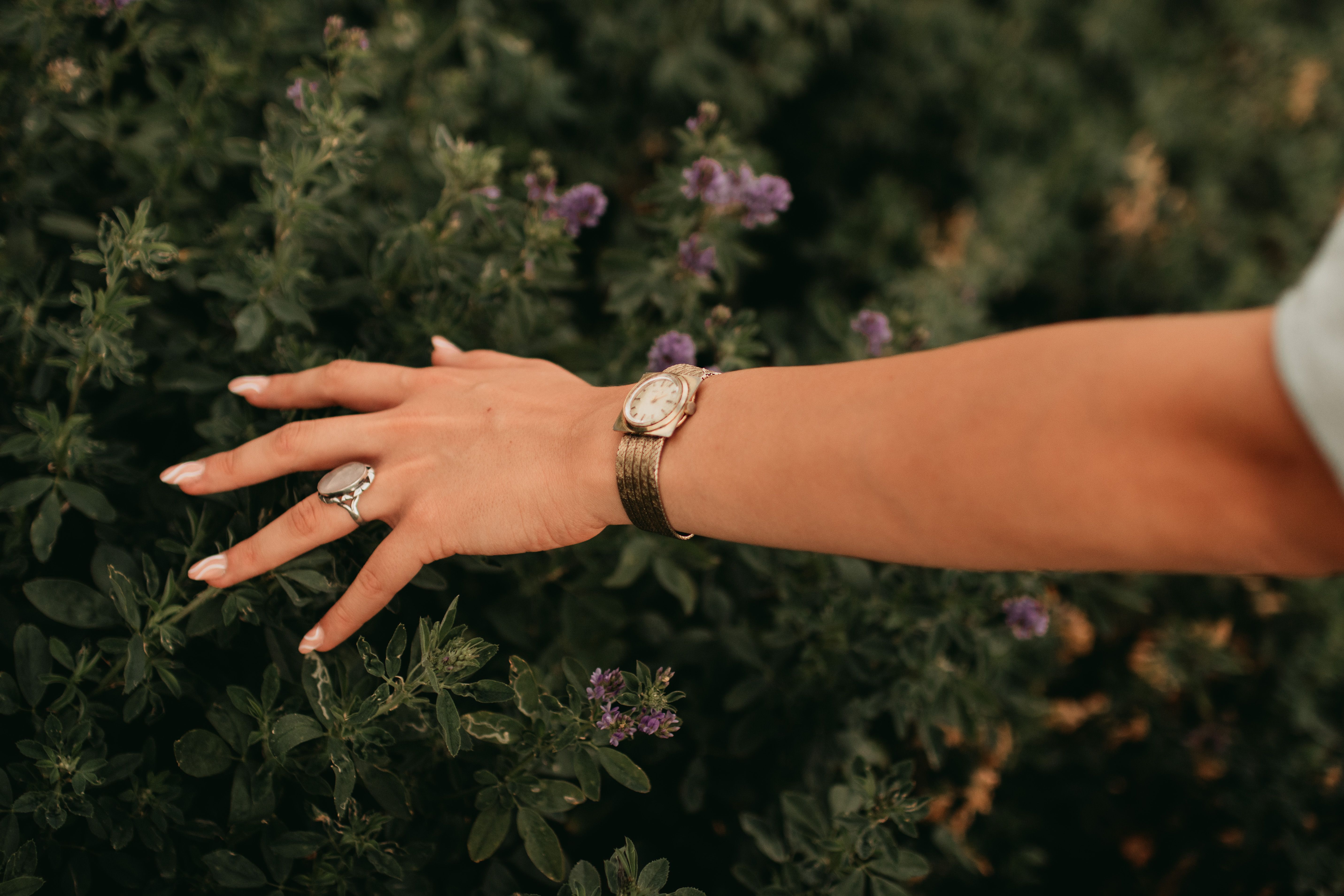 Close-up of Touching Green Plants · Free Stock Photo