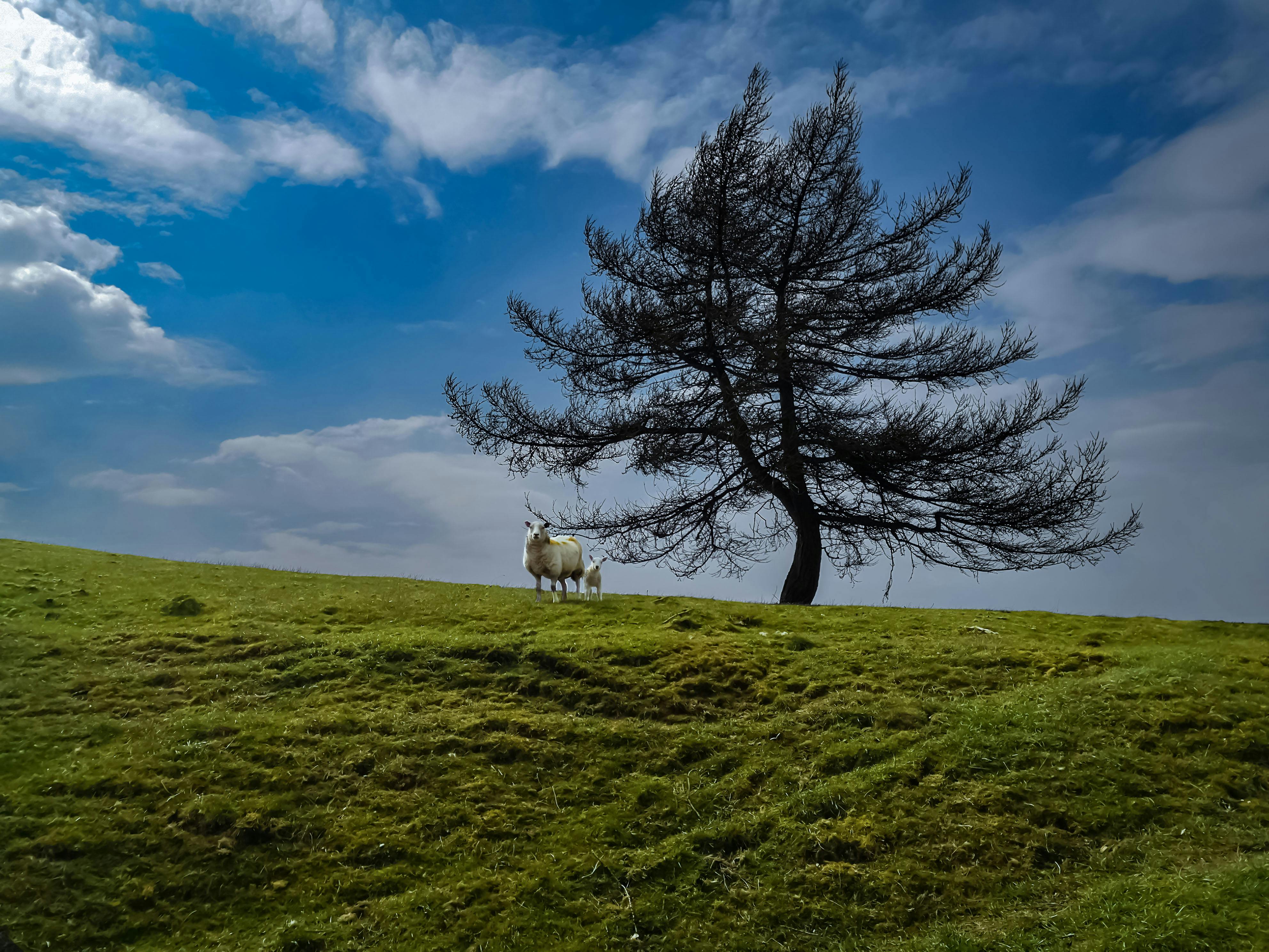 neil murphy - Photography