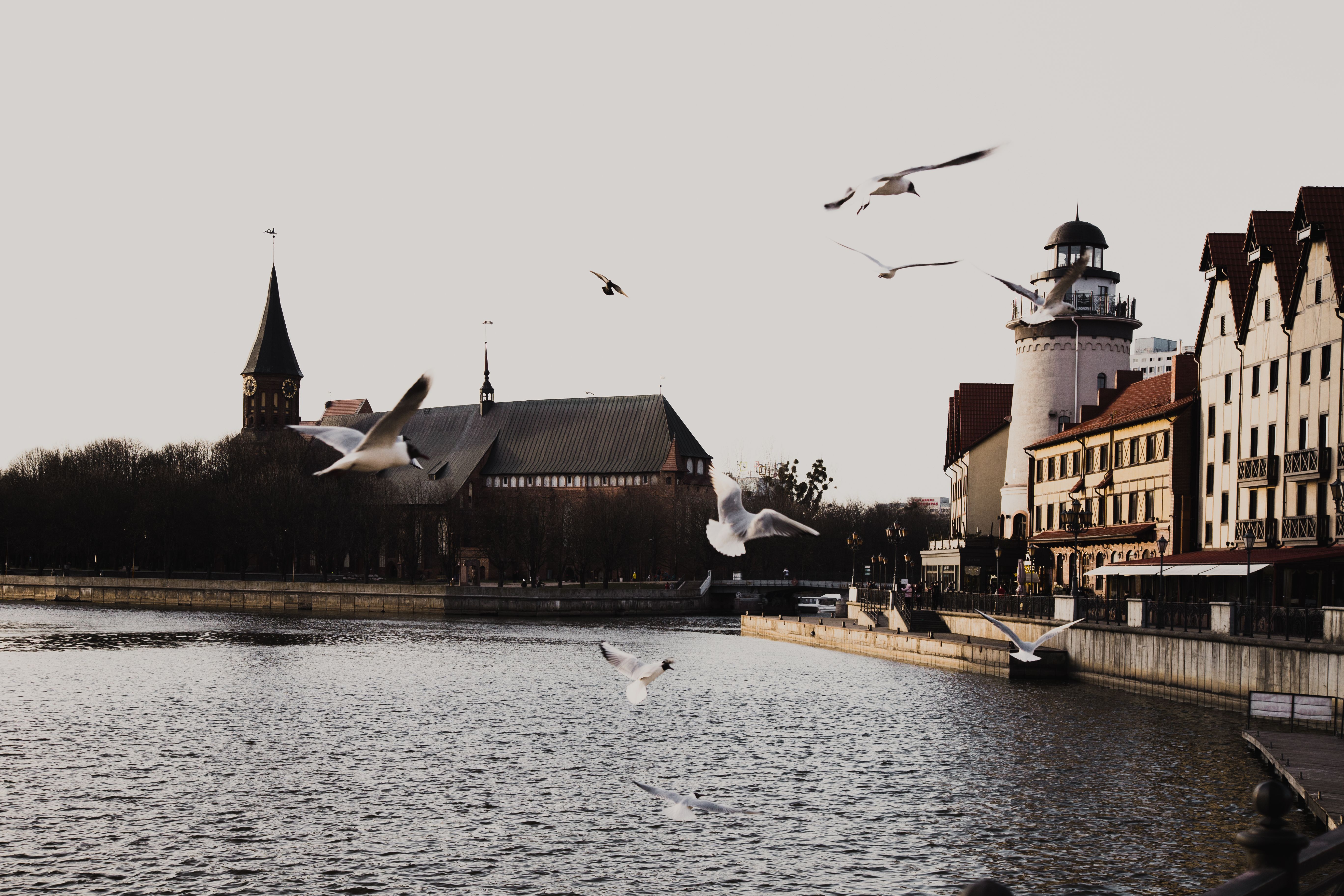 Flying Butress Church Photos, Download The BEST Free Flying Butress ...